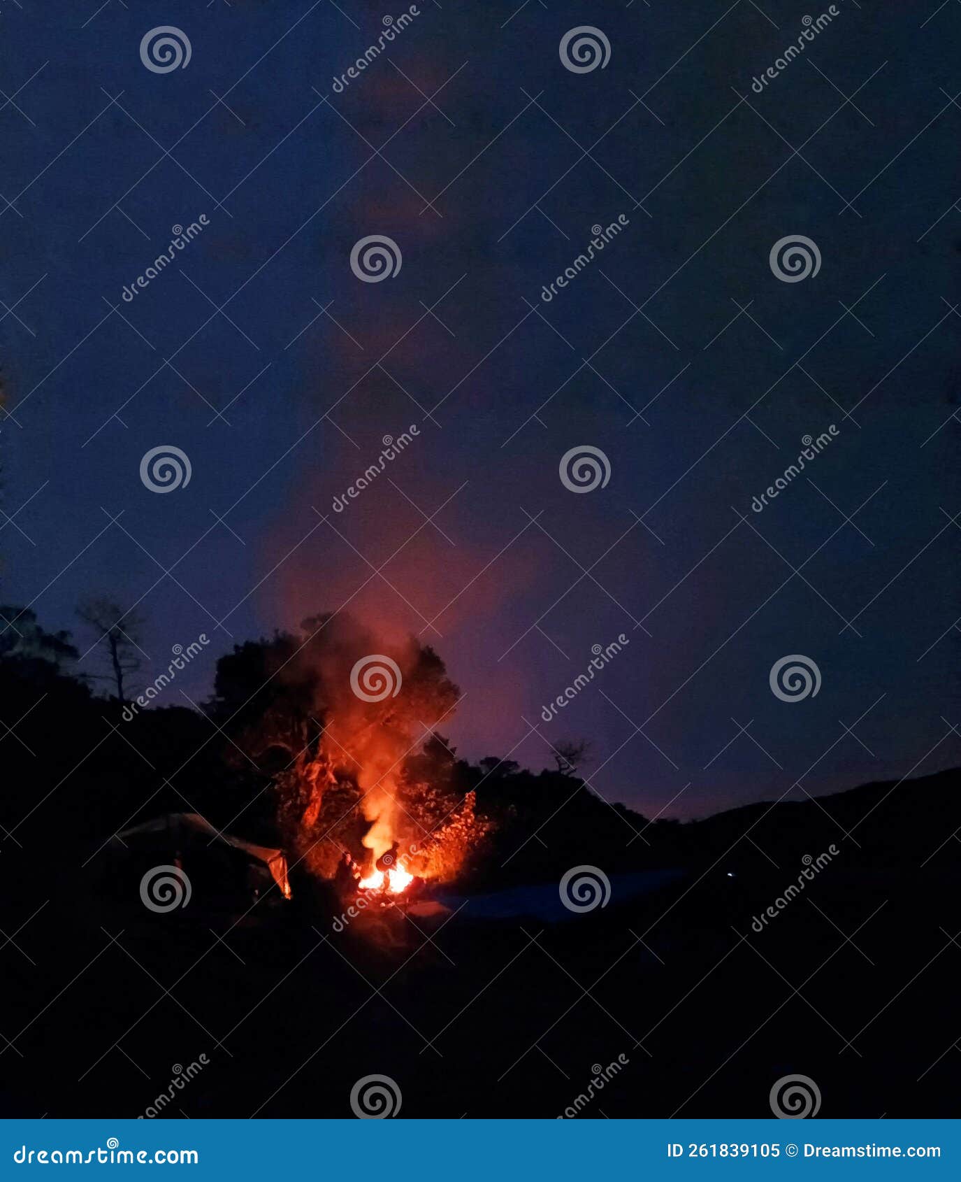 Fire in the Forest To Night with Sky Light Stock Image - Image of ...