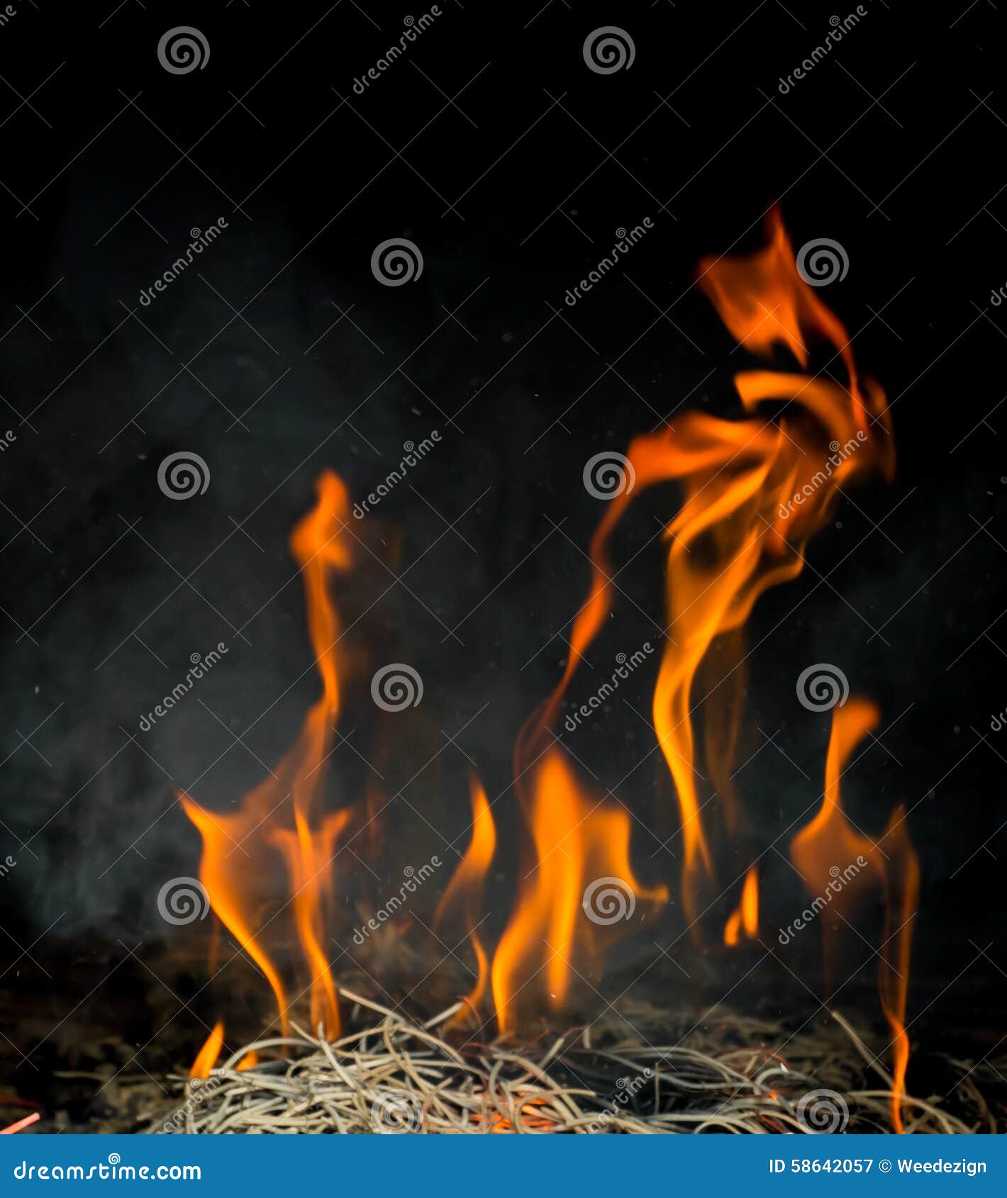 Fire on furnace stock image. Image of warmly, coal, kitchen - 58642057