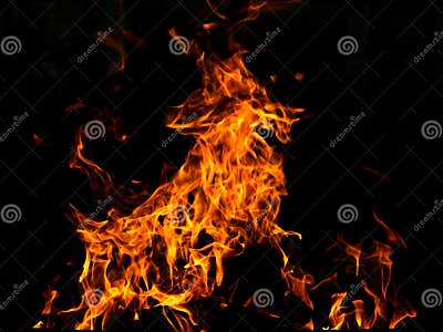Fire goat stock image. Image of effect, evil, flames - 28552035
