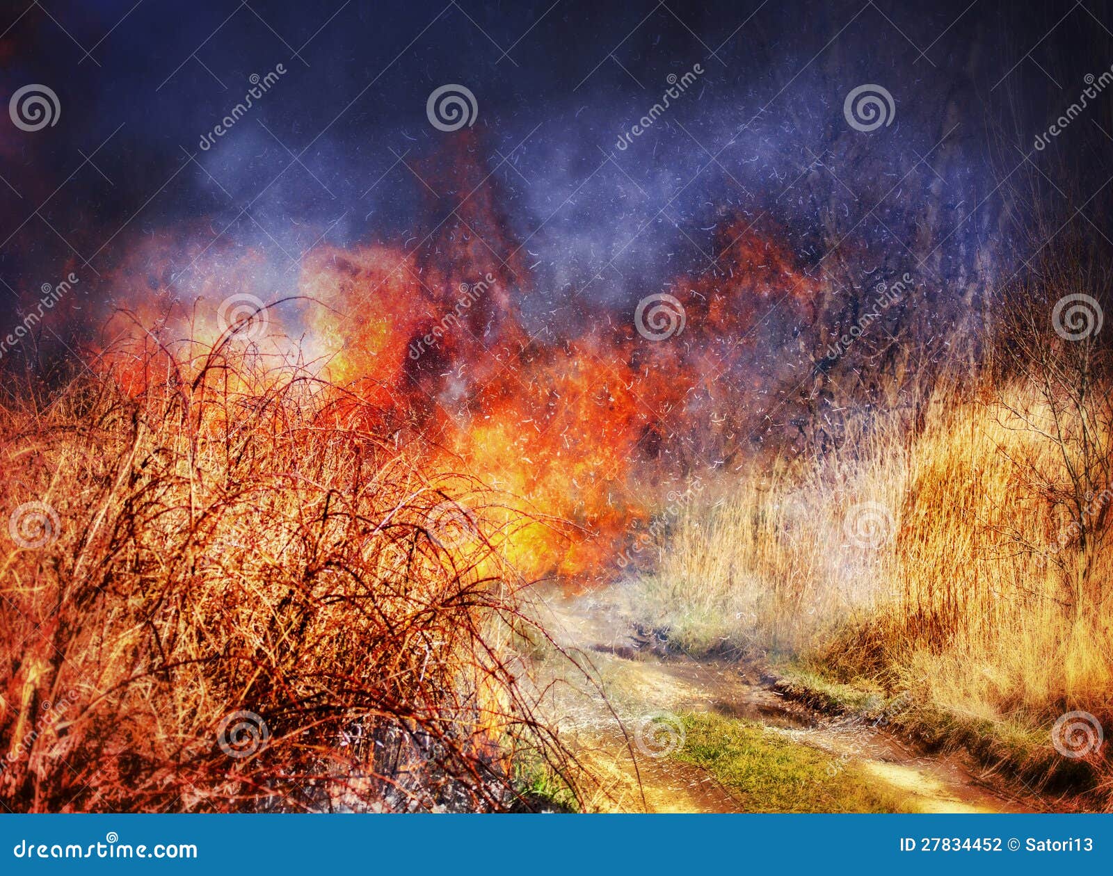 Fire in grass stock photo. Image of burning, land, hell - 27834452