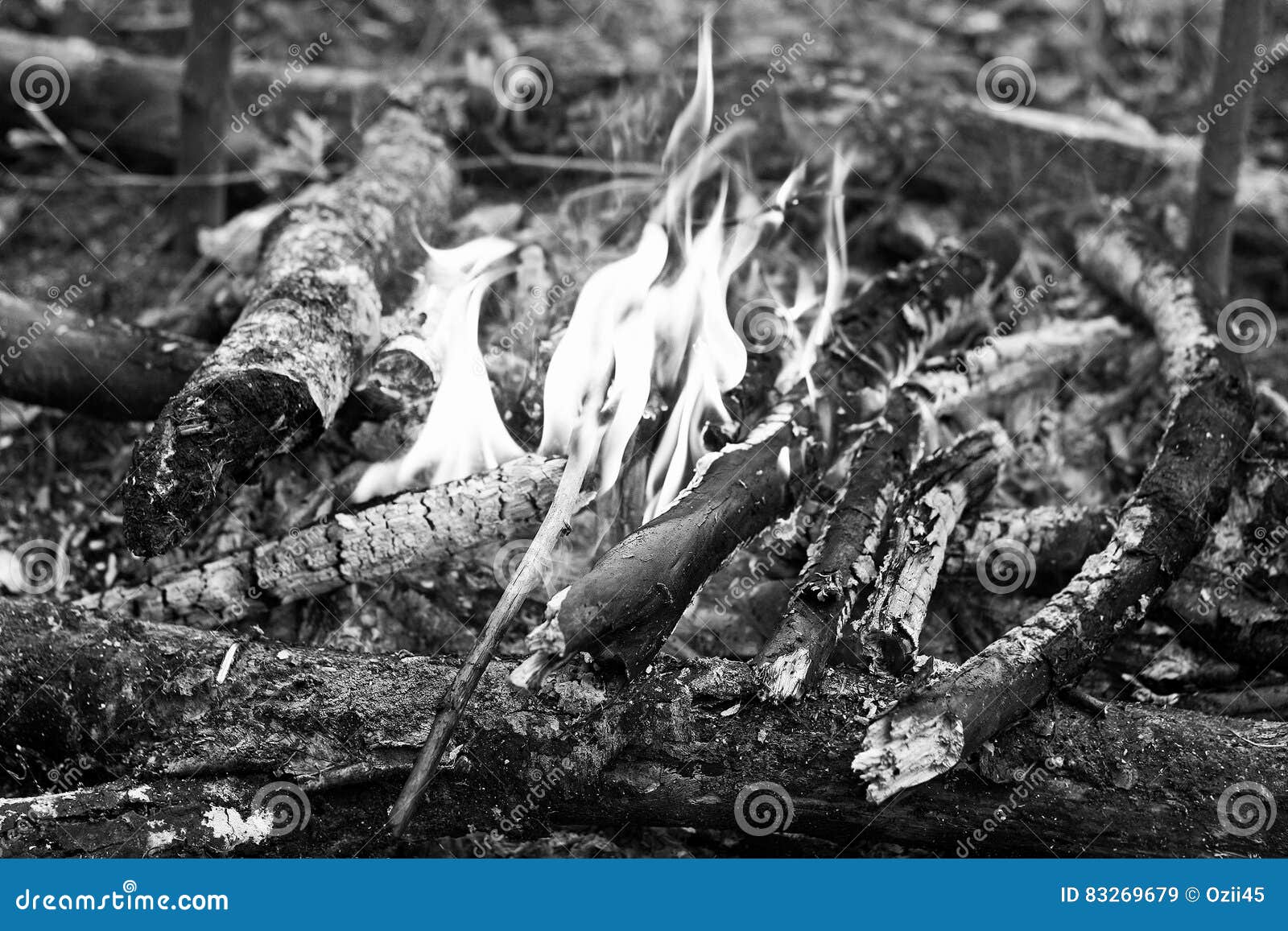 The Fire on the Grass. a Monochrome Image. Stock Image - Image of fire ...