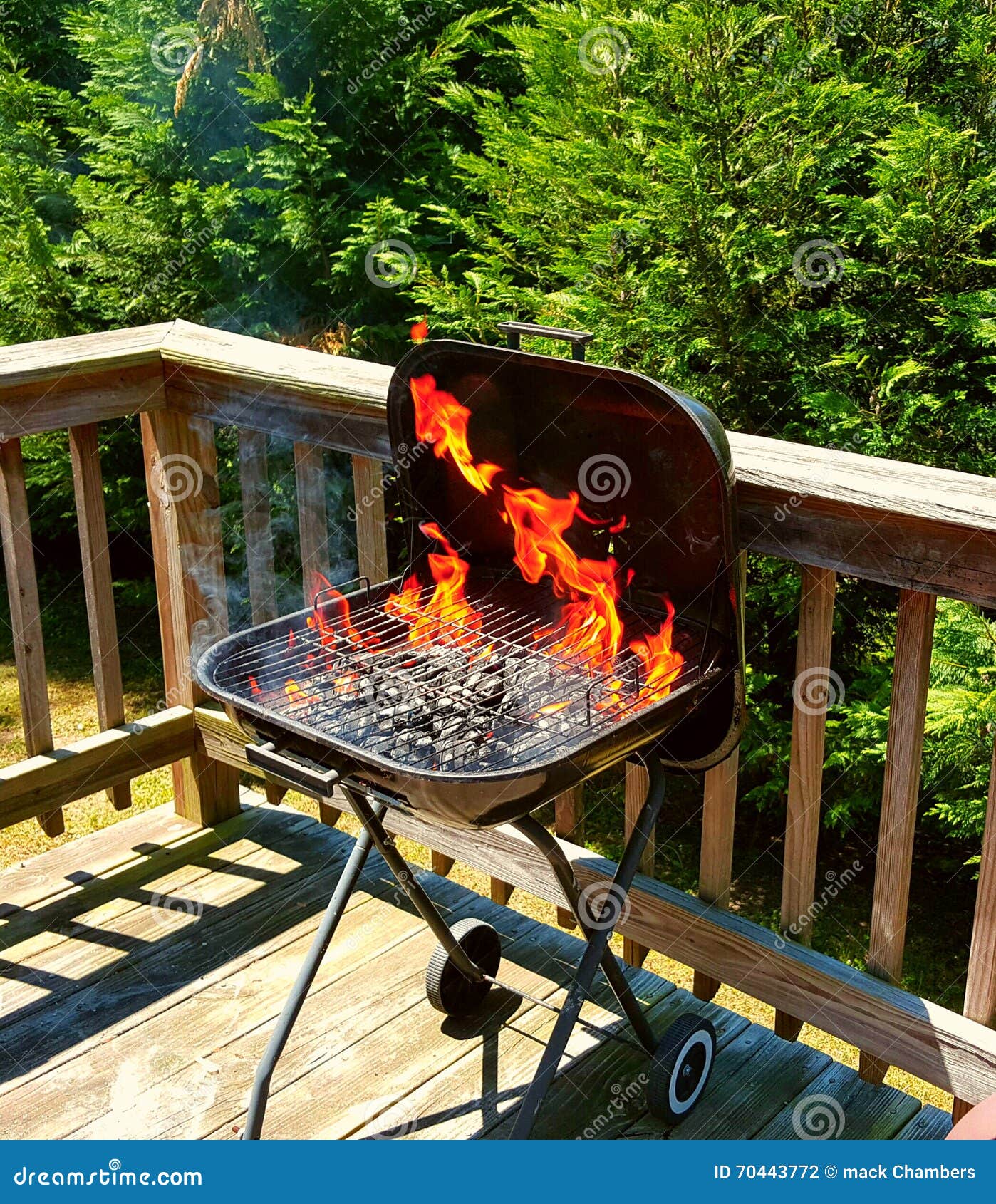 Fire on the grill stock photo. Image of cooking, grill - 70443772