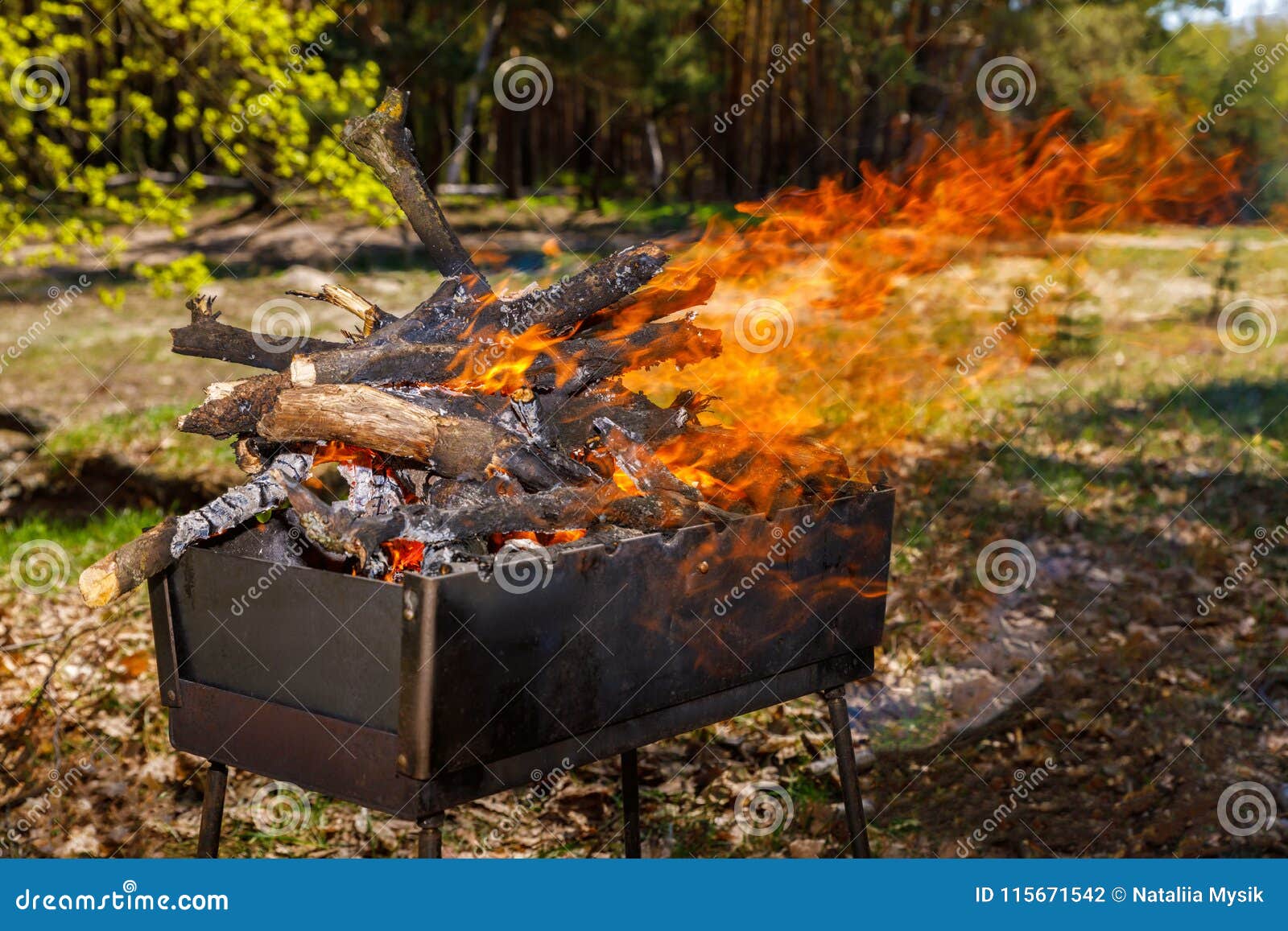 The fire in the grill . stock photo. Image of dark, fire - 115671542