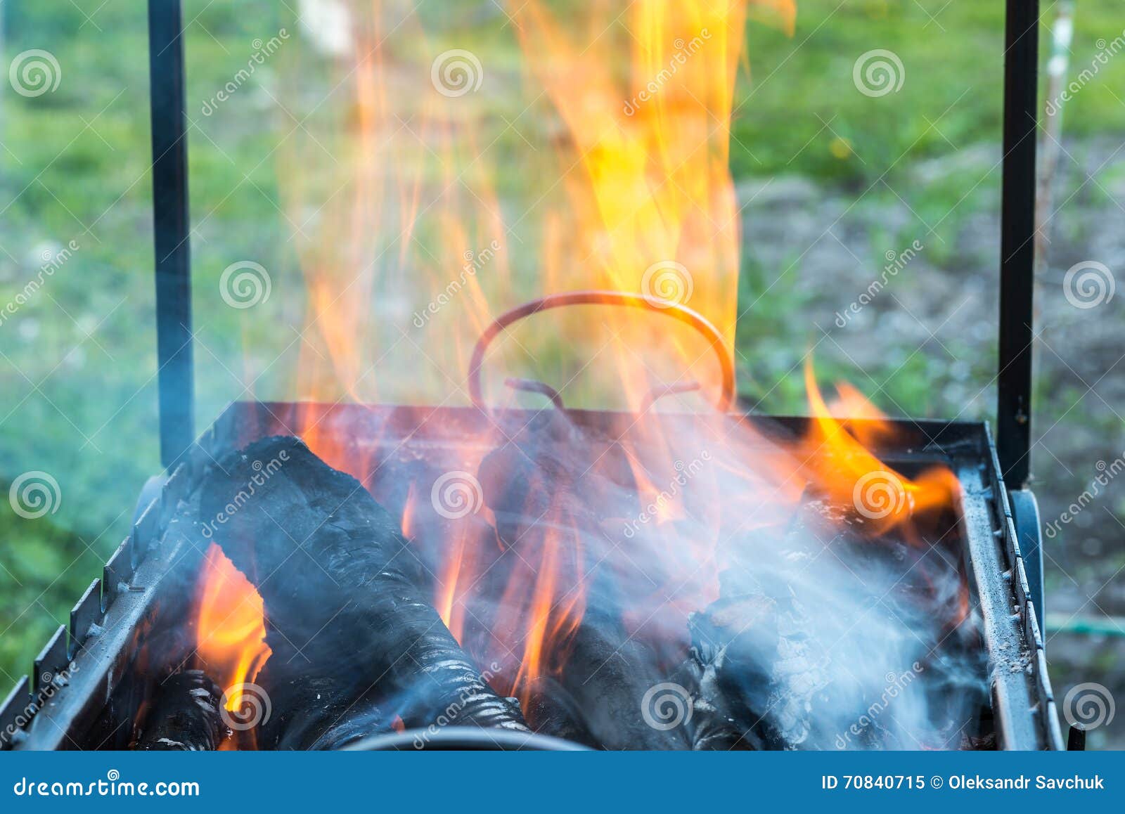 Fire in the grill. stock image. Image of forest, food - 70840715