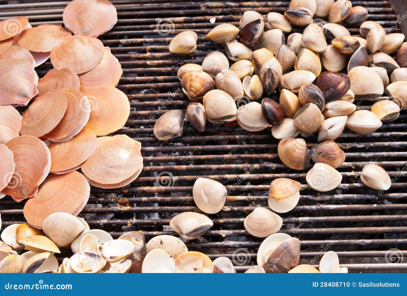 Fire Grilled Seashell on Bbq Stock Photo - Image of grilled, cooked ...