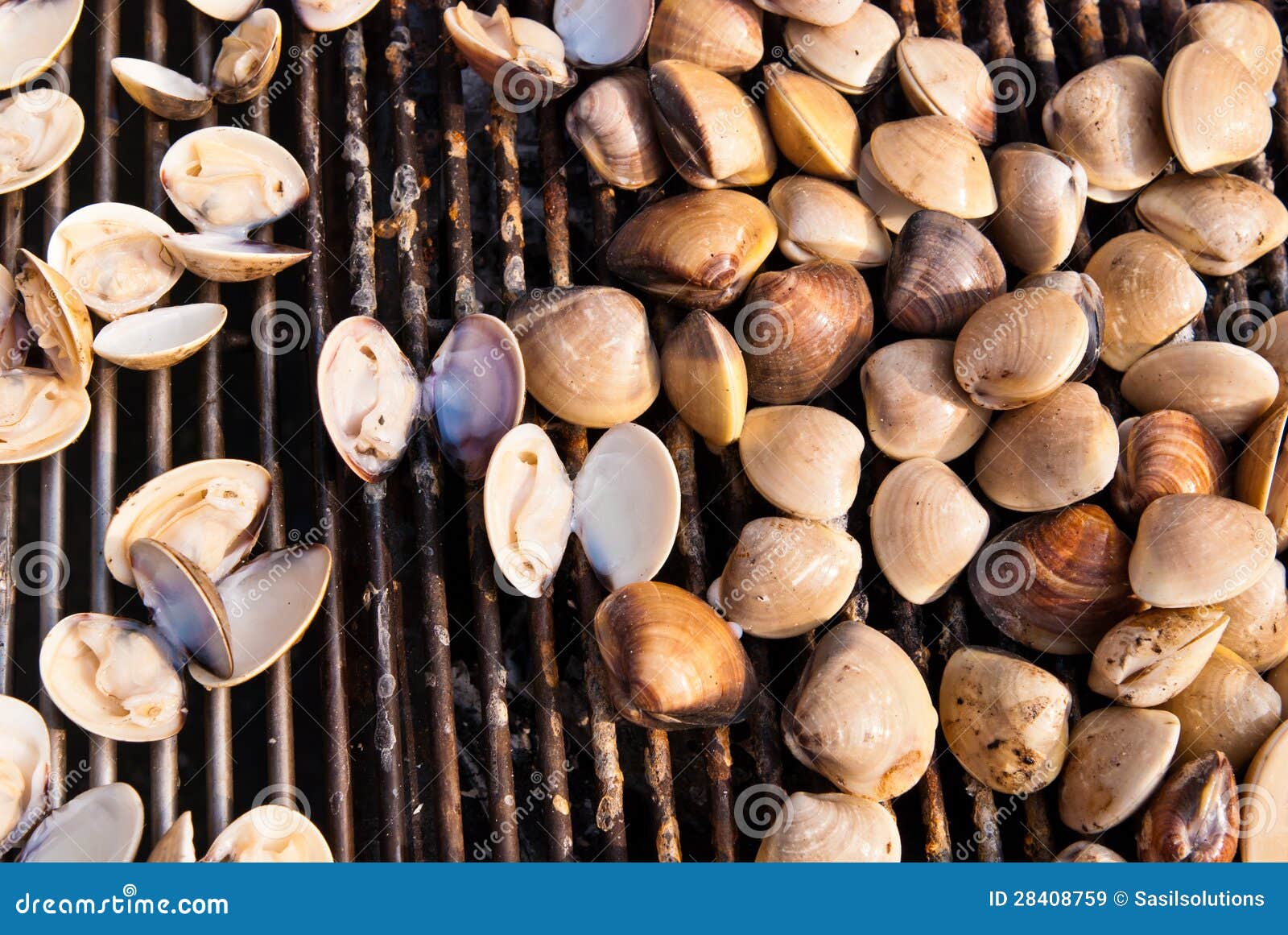 Fire Grilled Seashell on Bbq Stock Image - Image of healthy, choice ...
