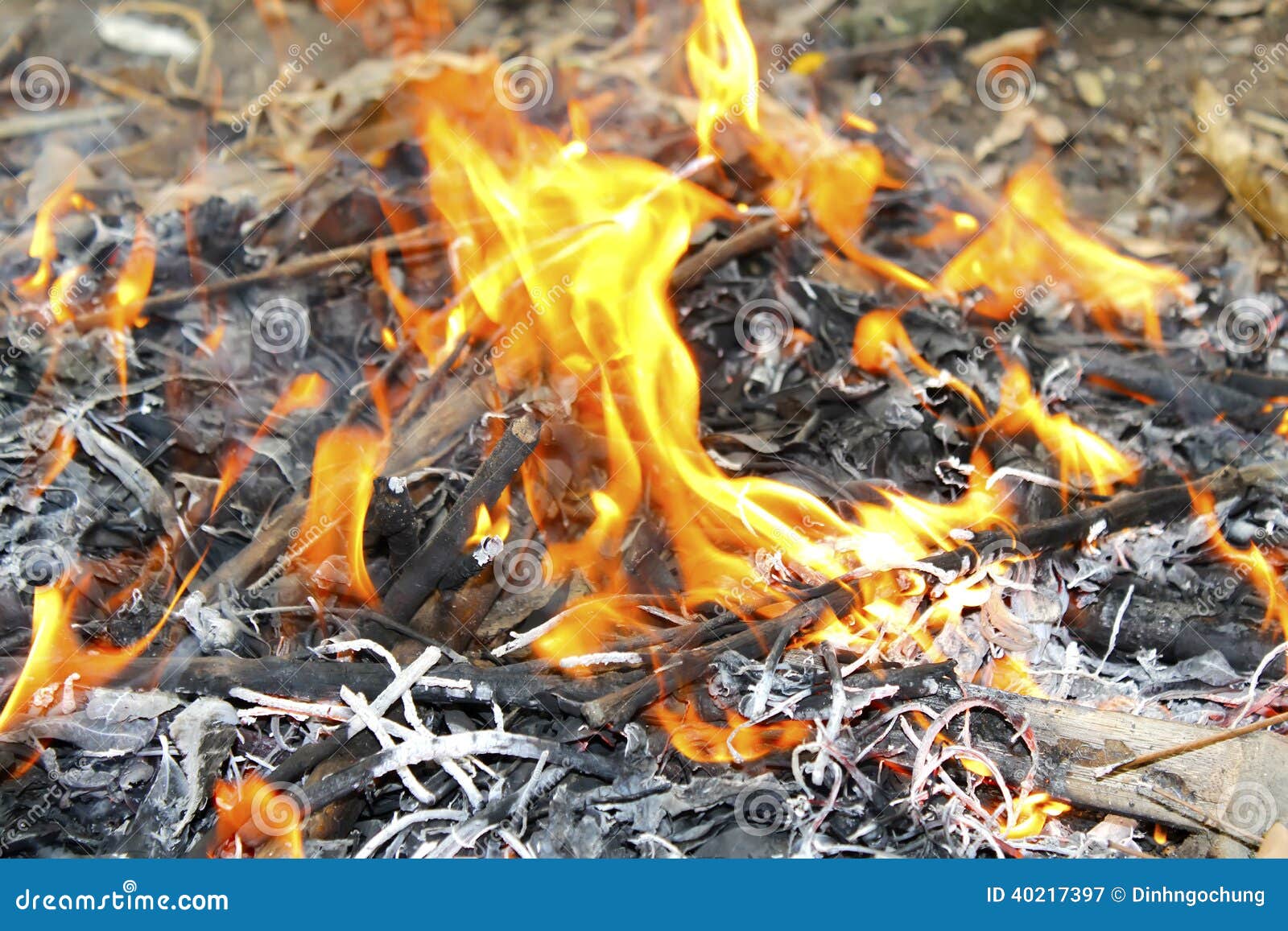 The fire on the ground stock image. Image of bonfire - 40217397