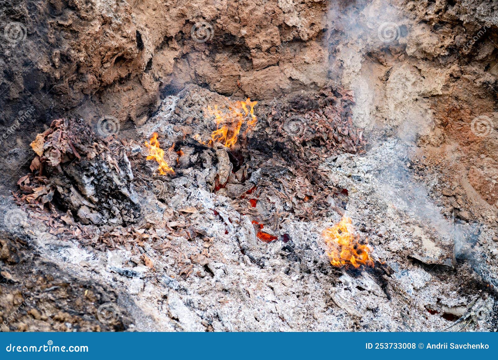 Fire on the Ground in Nature. Burning of Garbage Stock Photo - Image of ...