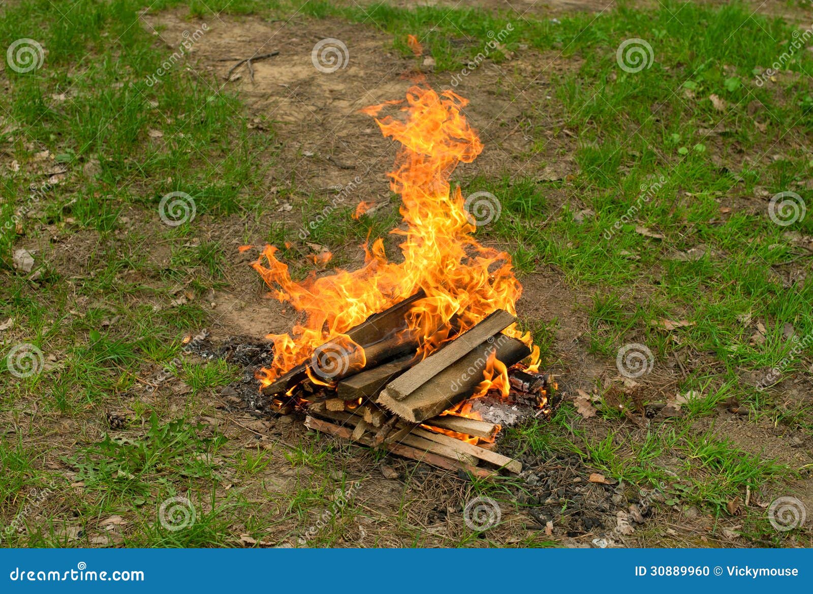A fire on the ground stock photo. Image of burn, conservation - 30889960