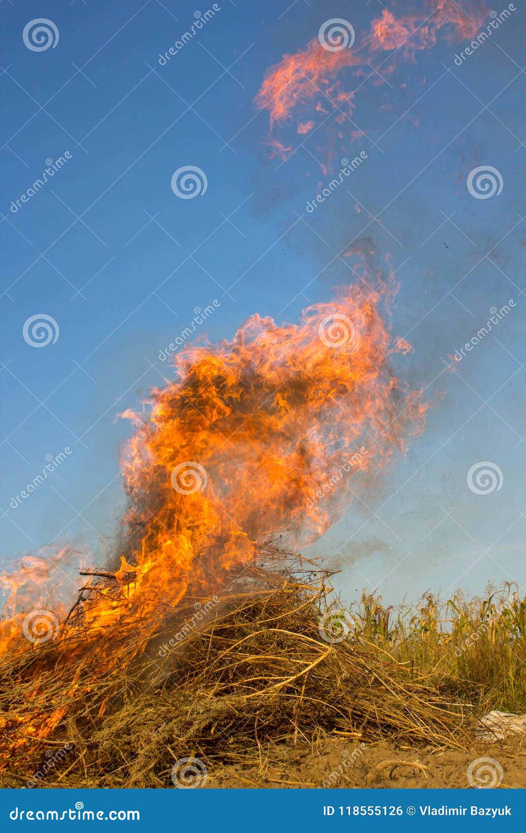 Fire of hay stock photo. Image of grass, industry, farms - 118555126