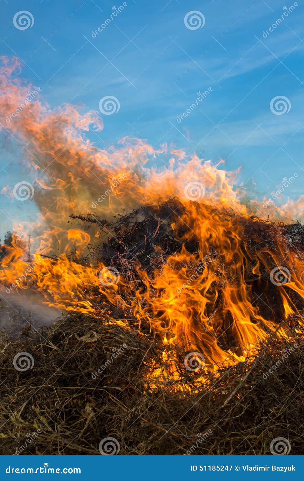 Fire hay stock image. Image of disaster, agriculture - 51185247