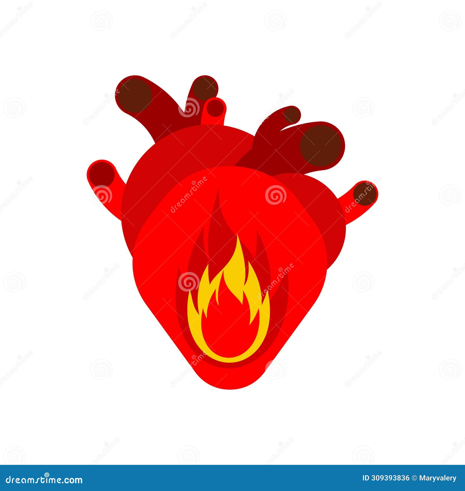 Fire in Heart. Flame in an Anatomical Heart Stock Illustration ...