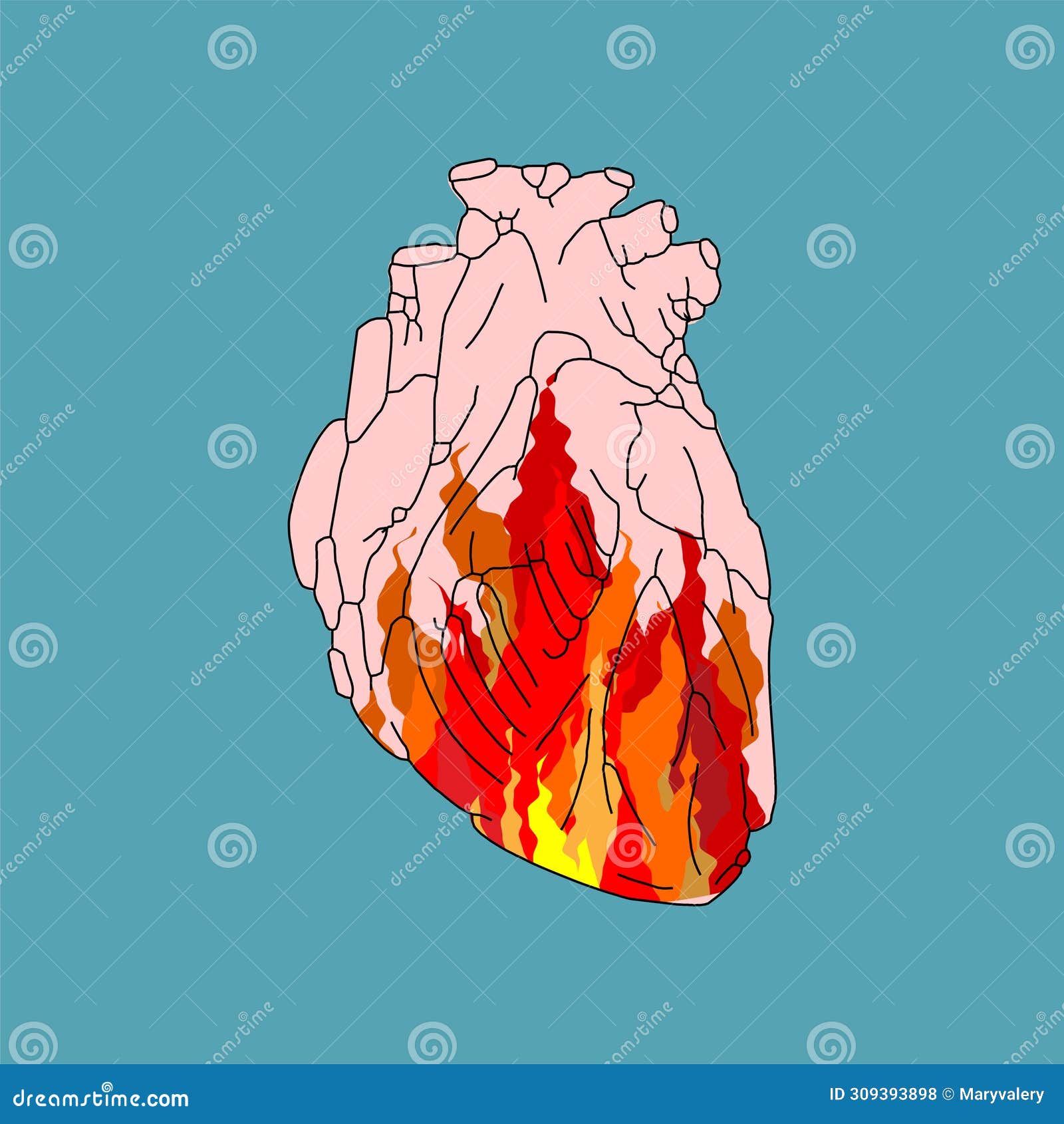 Fire in Heart. Flame in an Anatomical Heart Stock Vector - Illustration ...