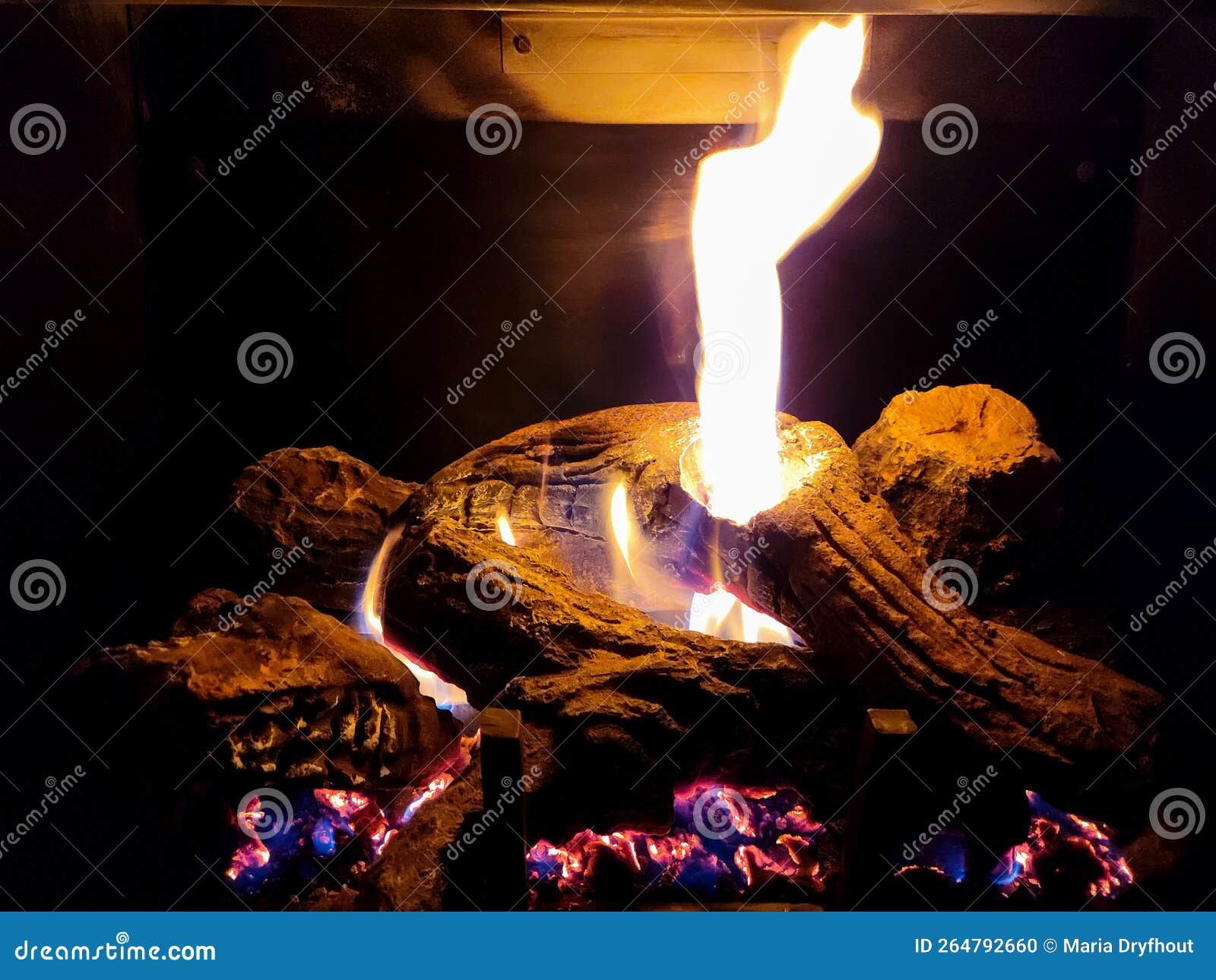 Fire in Hollow Log stock photo. Image of hollow, flame - 264792660