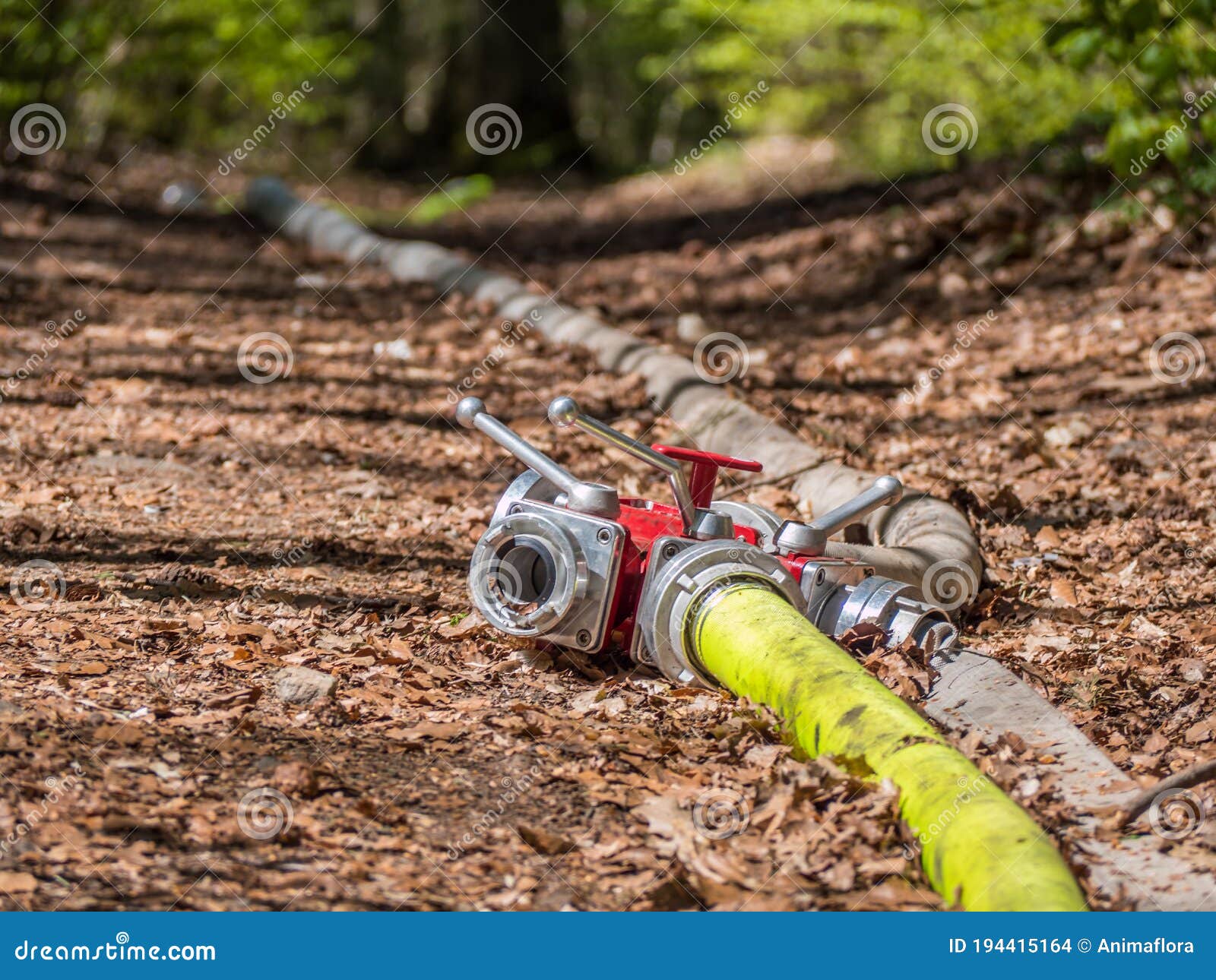 Fire Hose Forest Fire in Germany Stock Photo - Image of alarm ...