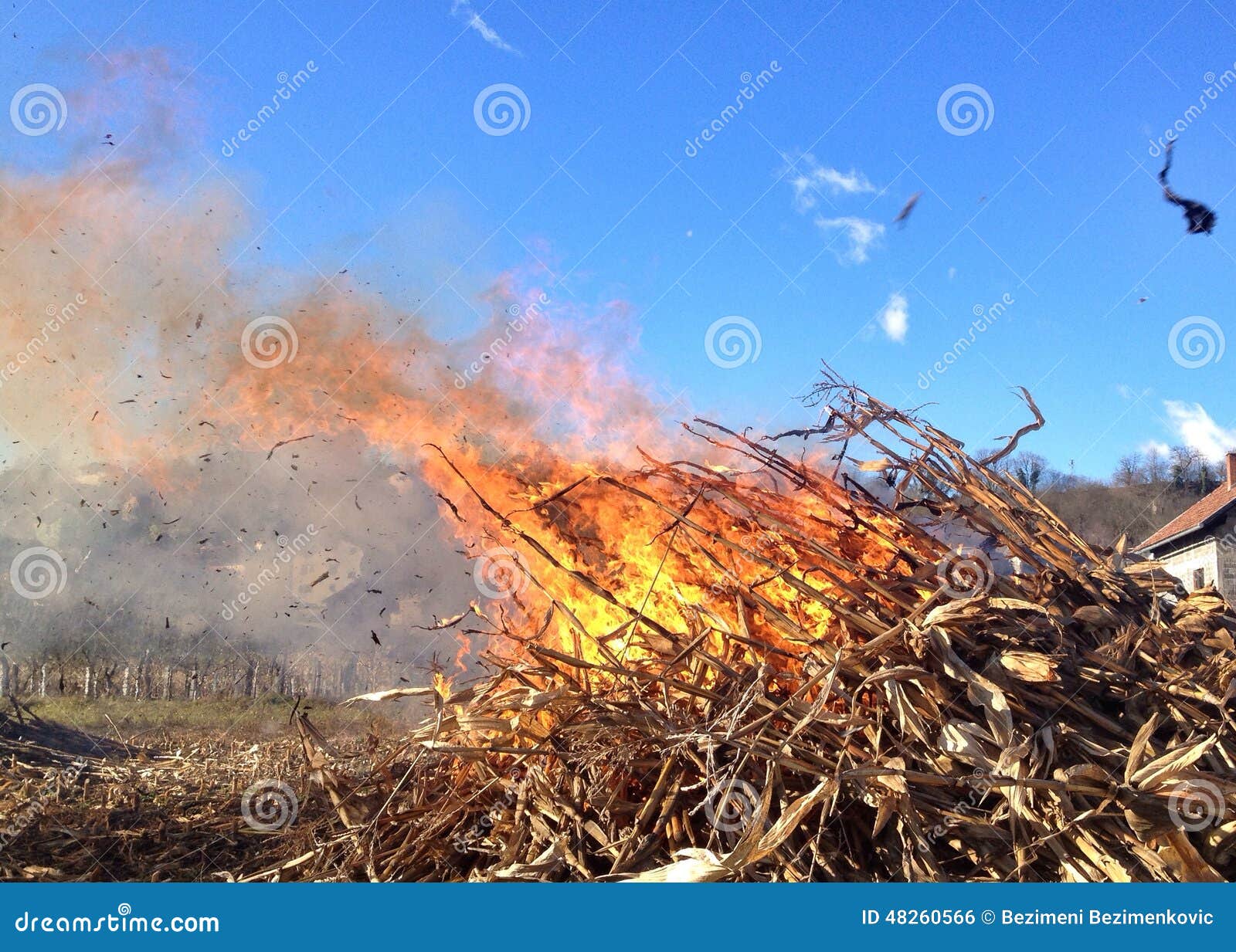 Fire stock photo. Image of fire, ignite, banner, blazing - 48260566