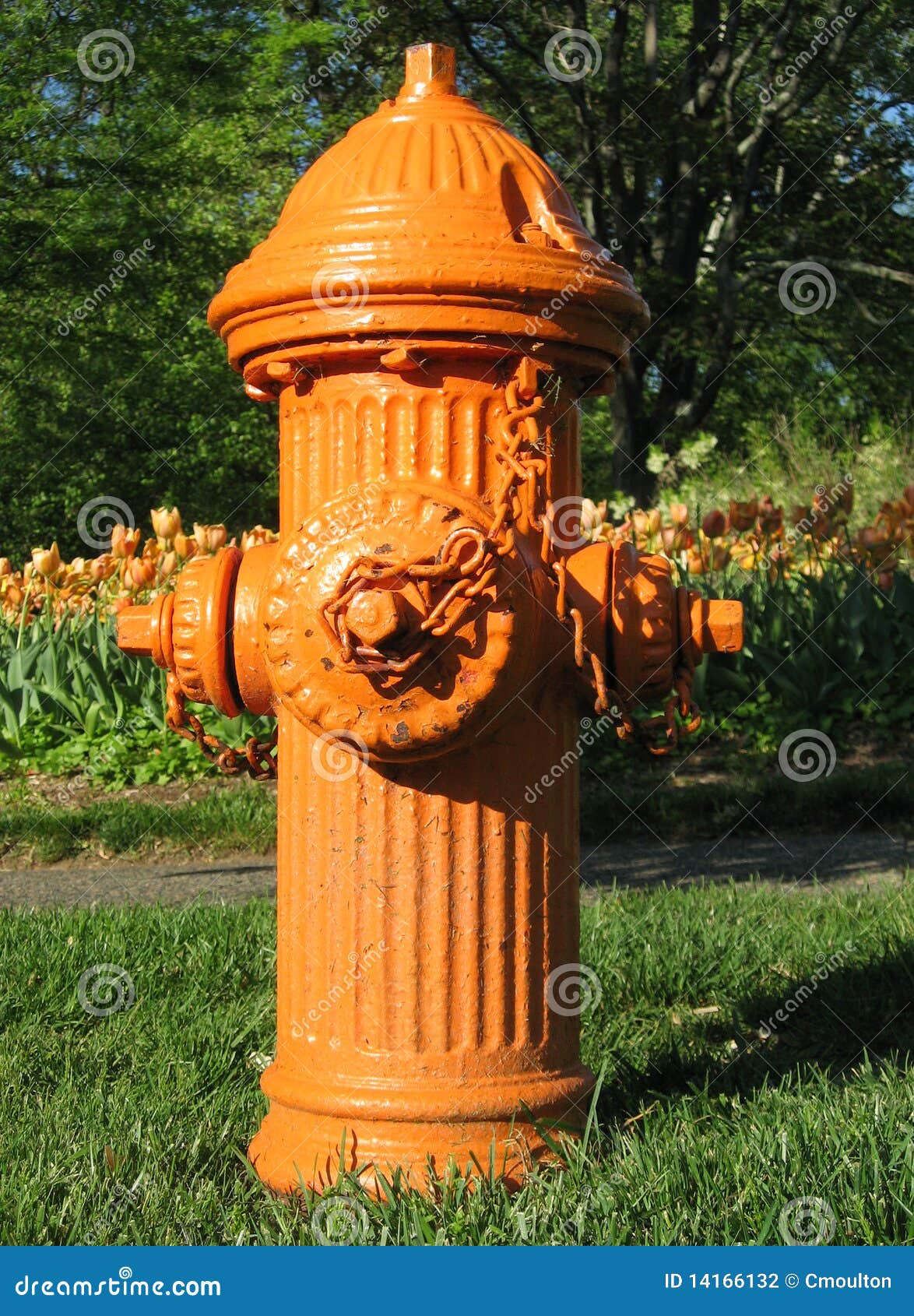 Fire Hydrant Stock Photography - Image: 14166132