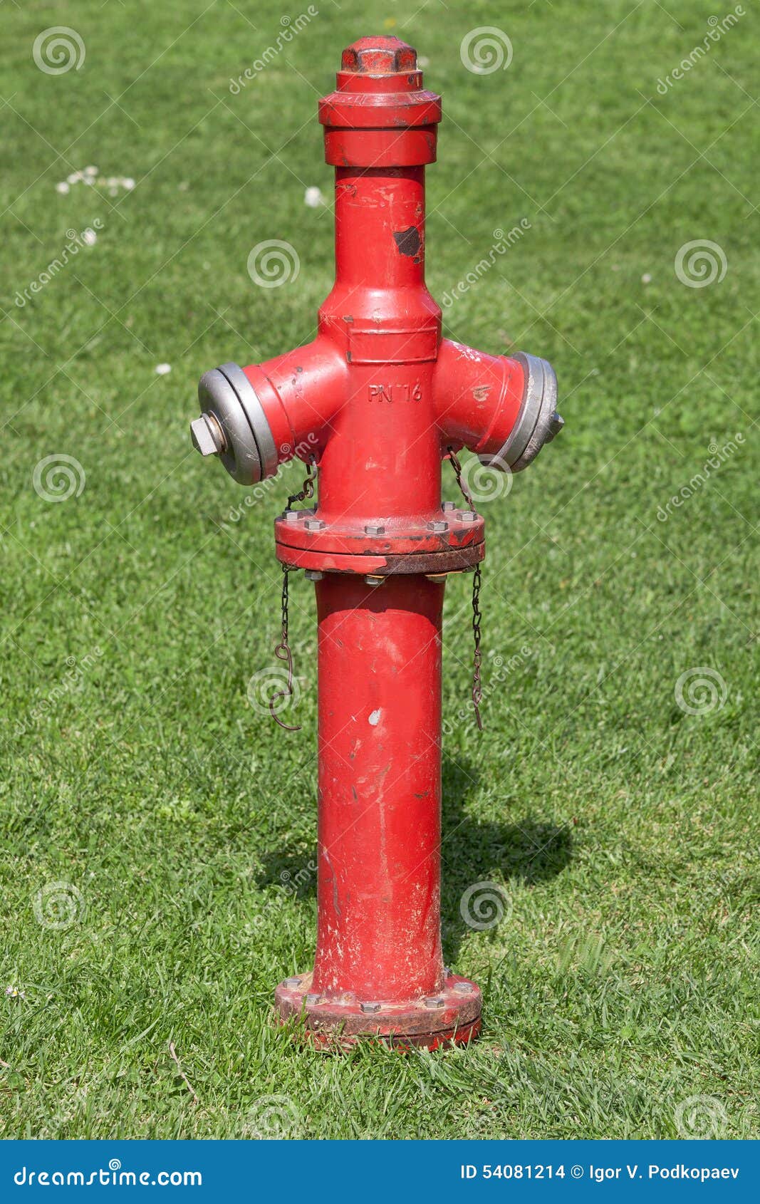 Fire hydrant stock photo. Image of hydrant, nuts, lawn - 54081214