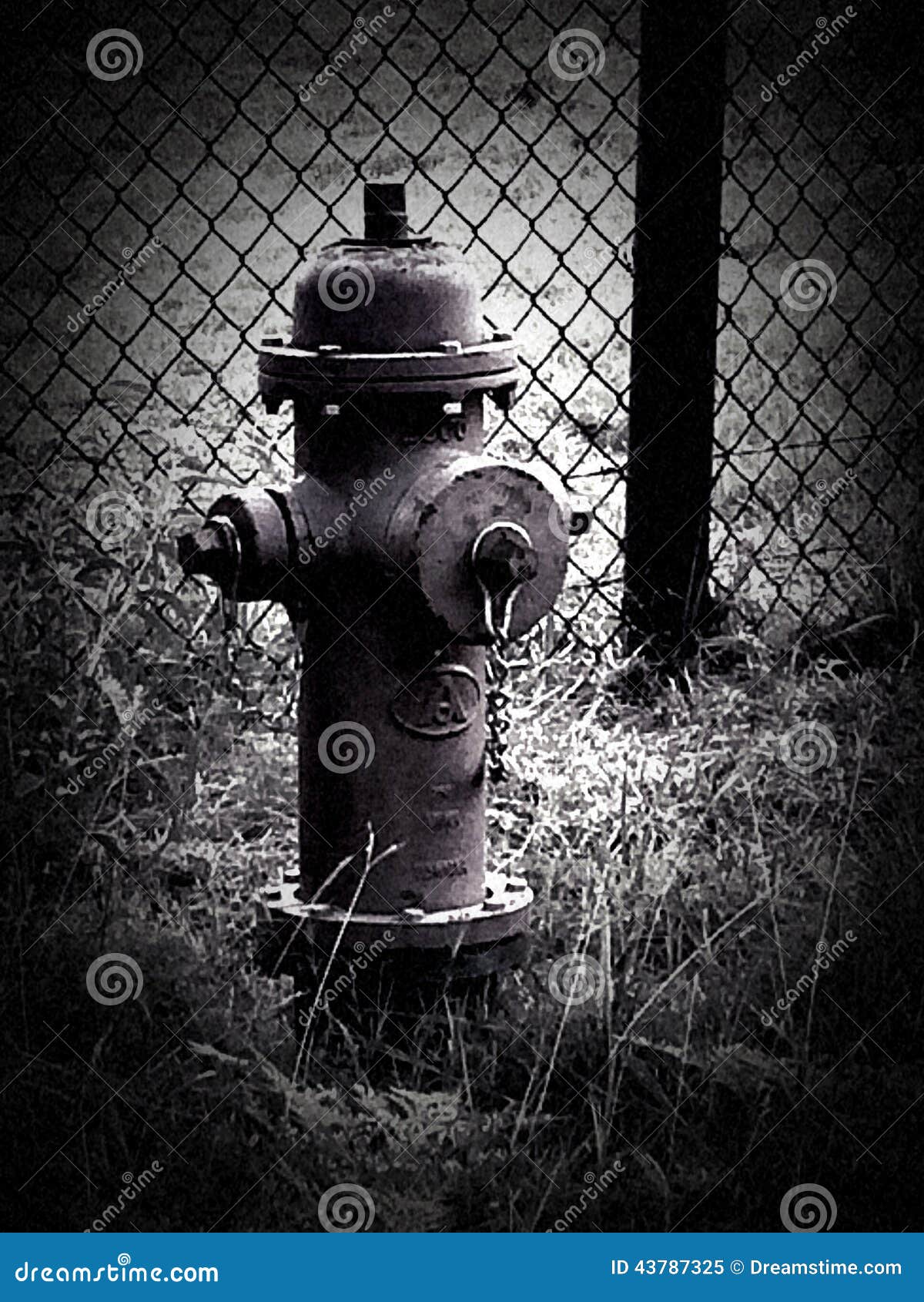Fire Hydrant Black and White Stock Image - Image of hydrant, scenery ...