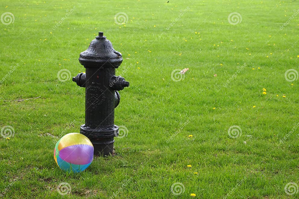 Fire Hydrant stock image. Image of dandelions, fire, green - 43150263