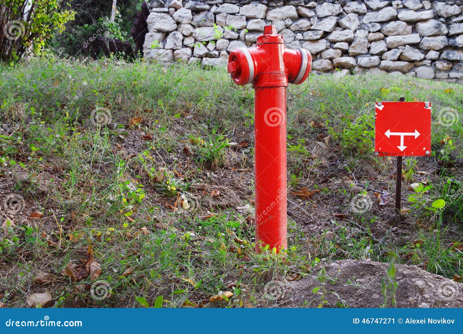 Fire Hydrant in City Park Area Stock Image - Image of town, outdoor ...