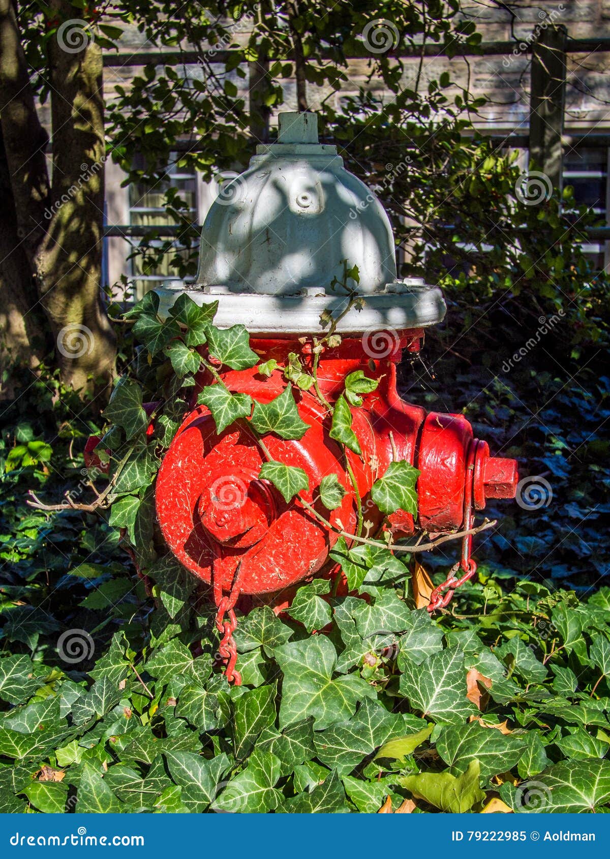 Fire hydrant in city park stock image. Image of safety - 79222985