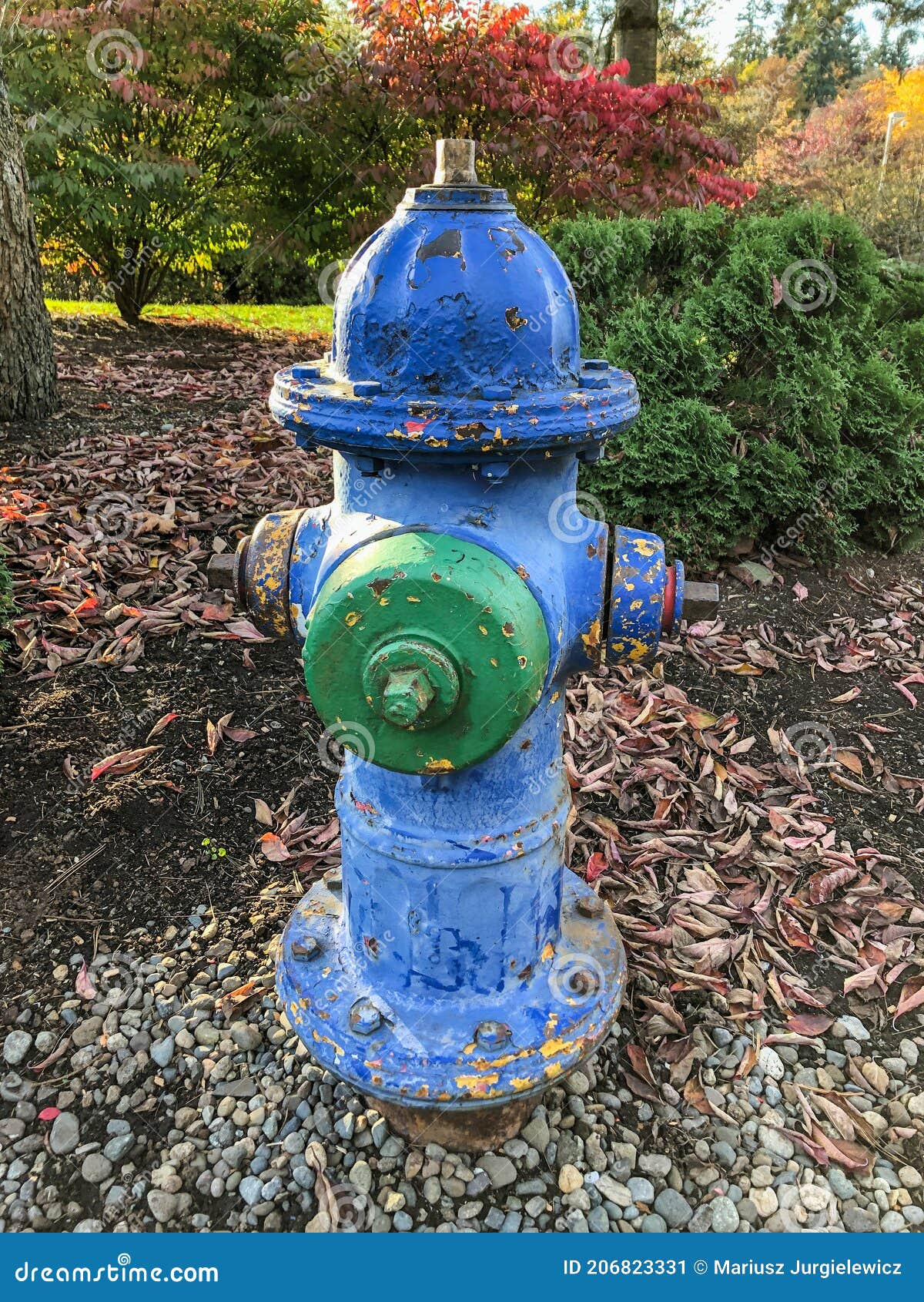Fire hydrant stock image. Image of extinguish, industry - 206823331