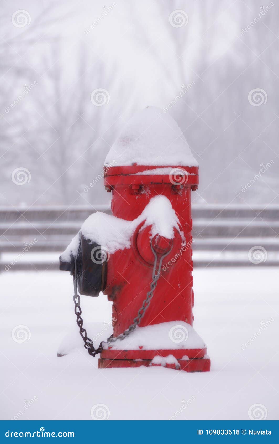 Red Fire Hydrant in snow stock photo. Image of color - 109833618