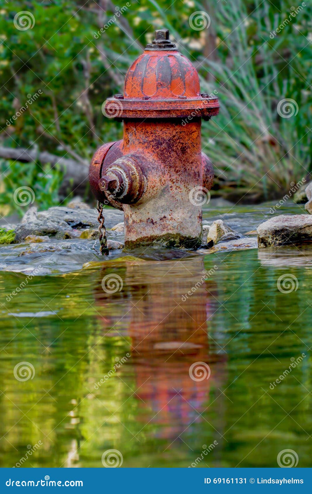 Fire hydrant in creek stock image. Image of stream, useless - 69161131