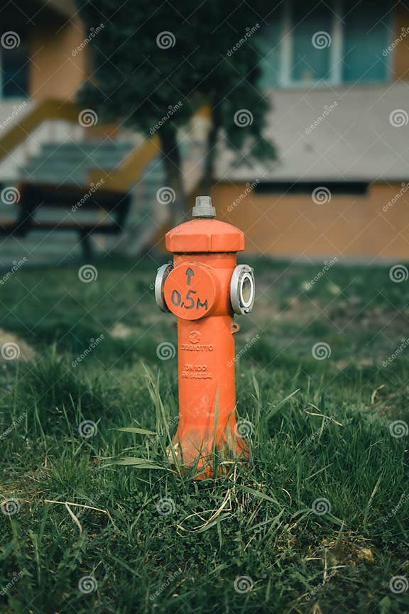 An Orange Fire Hydrant with Eyes on it in the Grass Stock Photo - Image ...