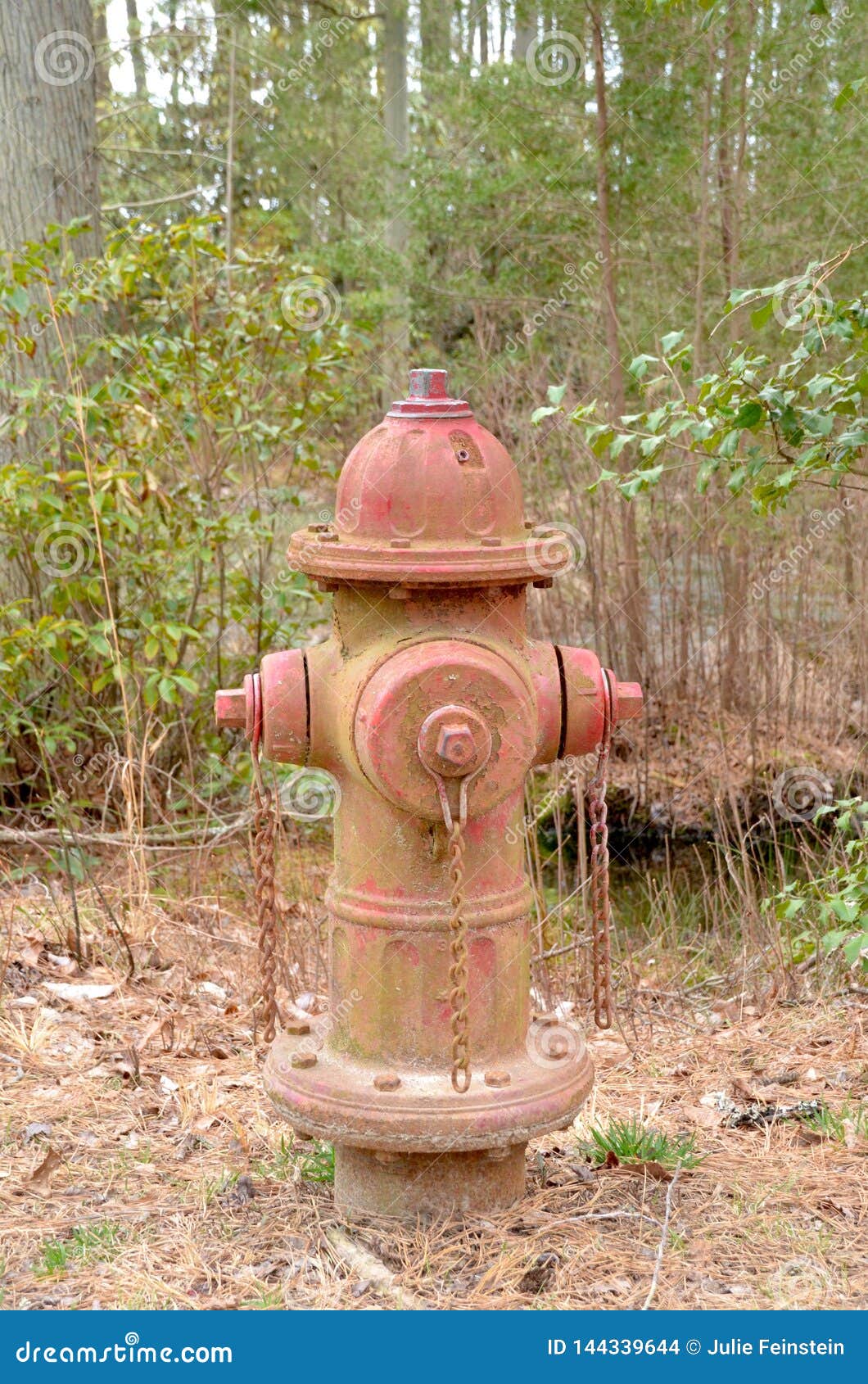 Fire Hydrant stock photo. Image of rusty, faded, fire - 144339644