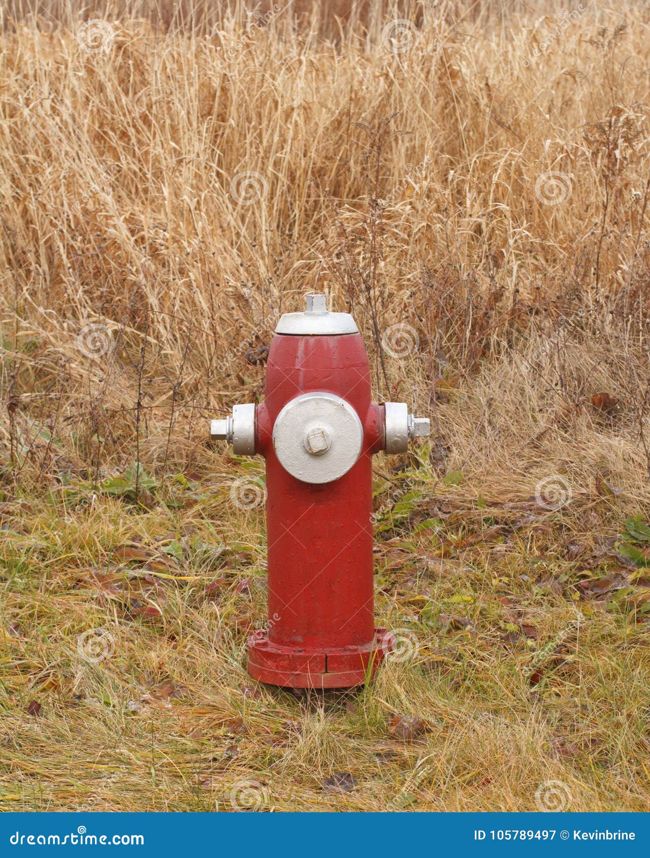 Fire Hydrant stock image. Image of outdoor, object, department - 105789497