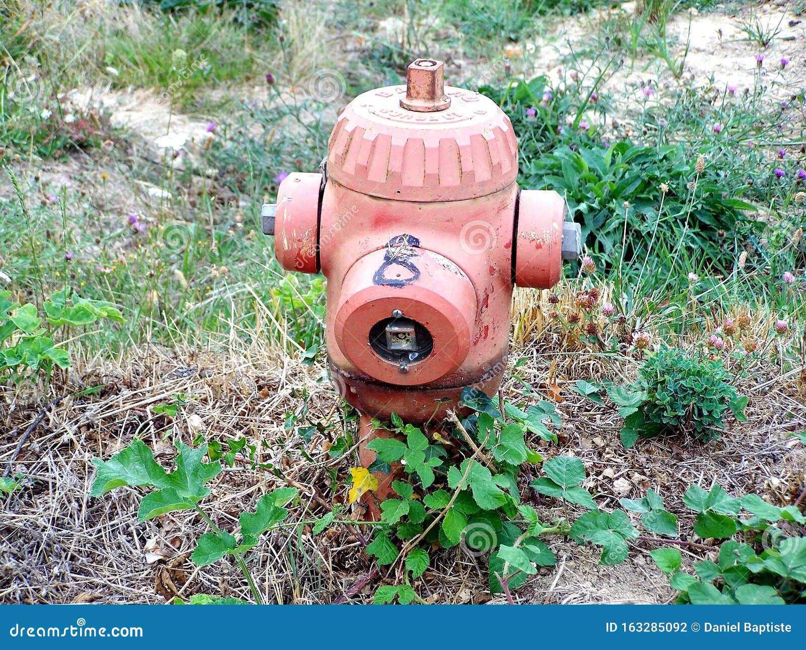 Fire hydrant stock photo. Image of hydrant, sinister - 163285092