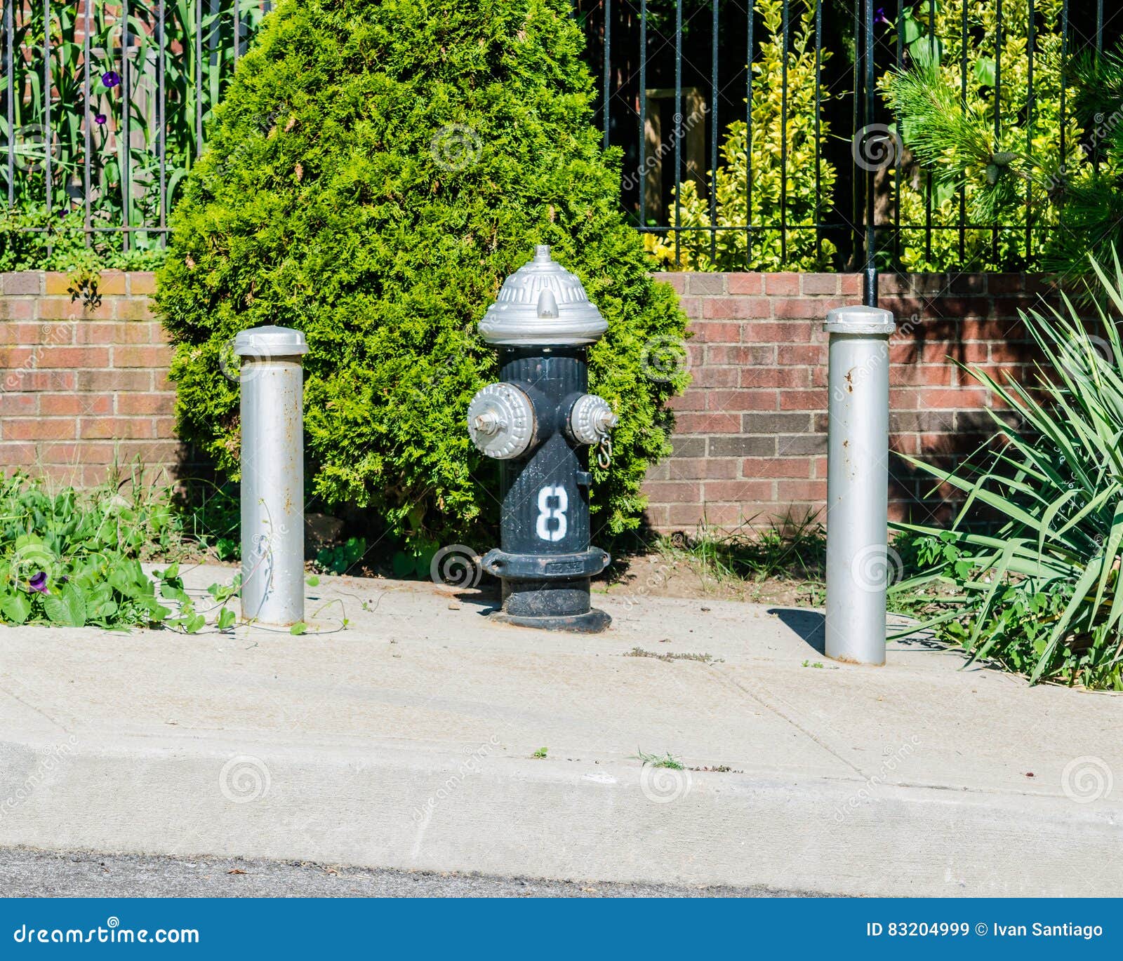 Fire Hydrant fireplug stock image. Image of metal, city - 83204999