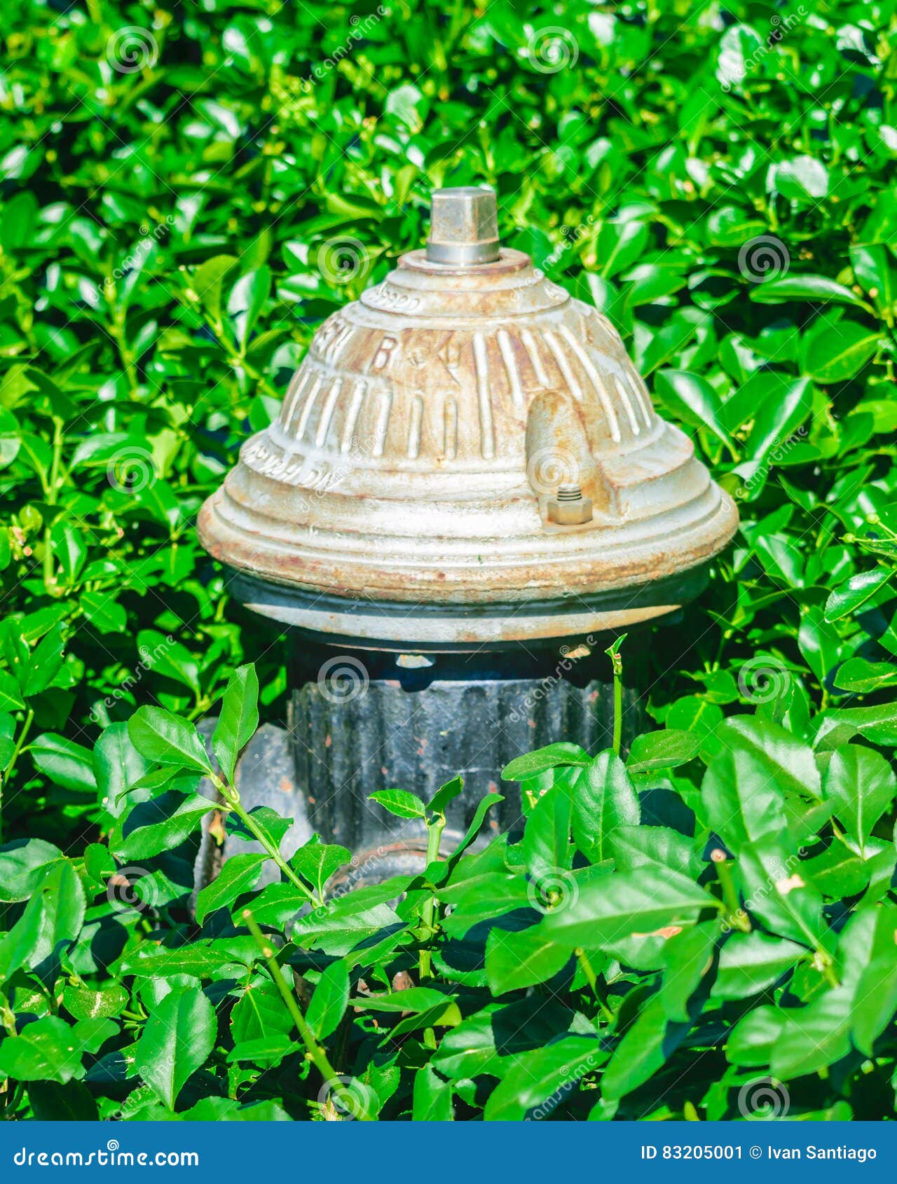 Fire Hydrant fireplug stock image. Image of rural, emergency - 83205001