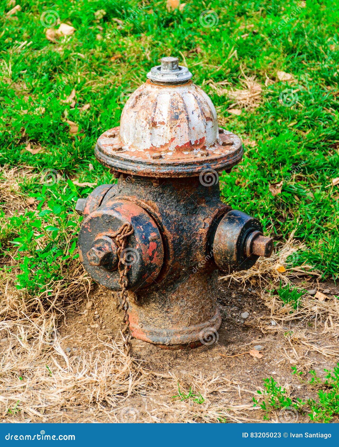 Fire Hydrant fireplug stock image. Image of covered, grass - 83205023