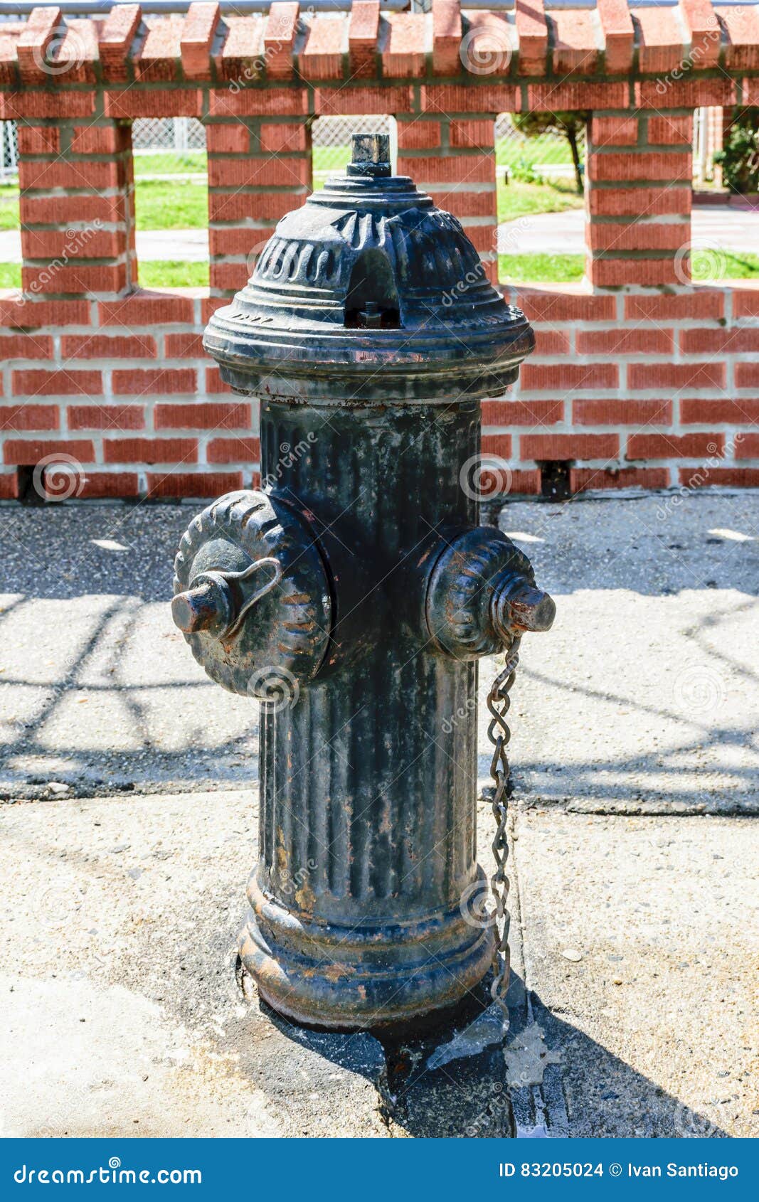 Fire Hydrant fireplug stock photo. Image of outdoor, scene - 83205024