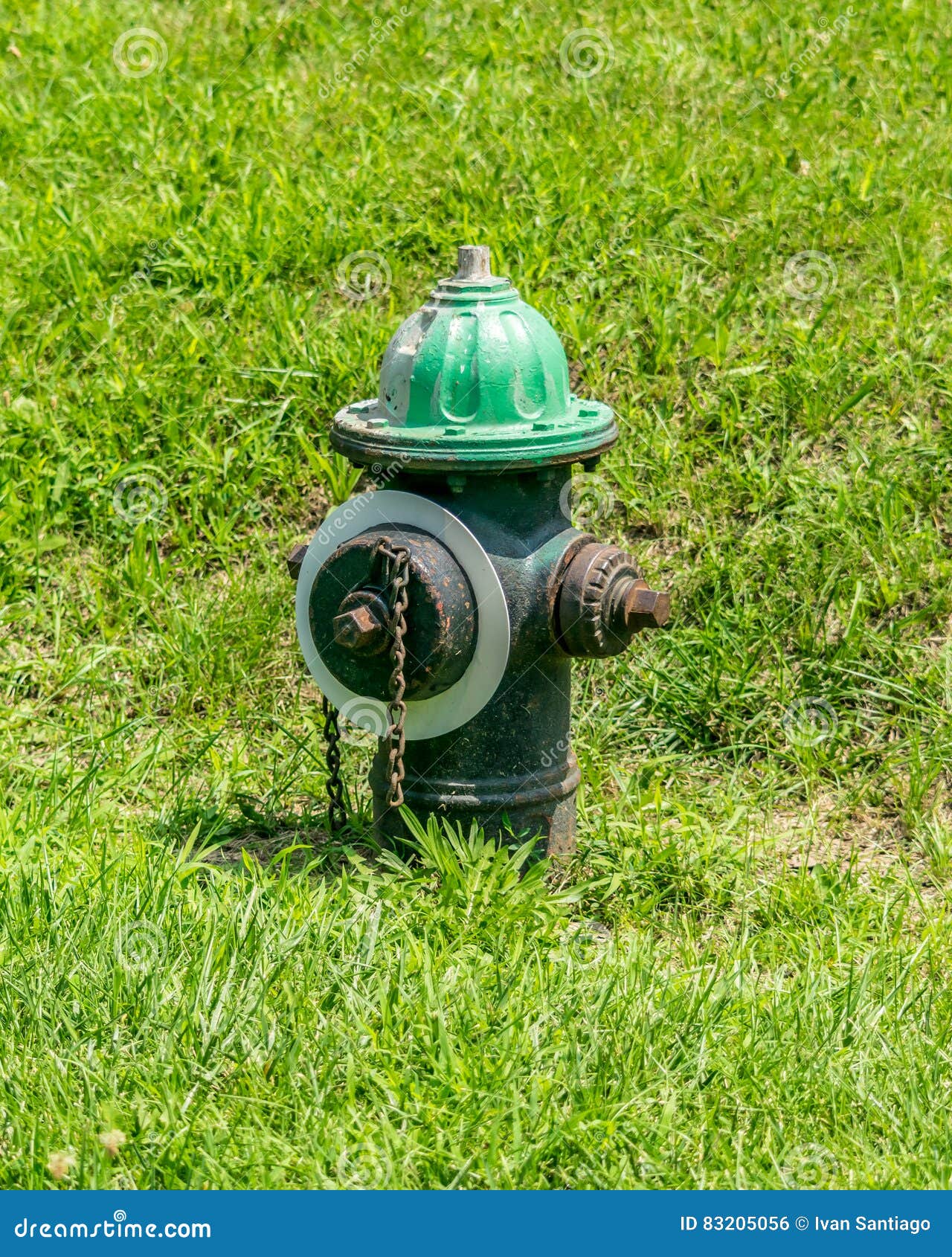 Fire Hydrant fireplug stock photo. Image of bright, public - 83205056