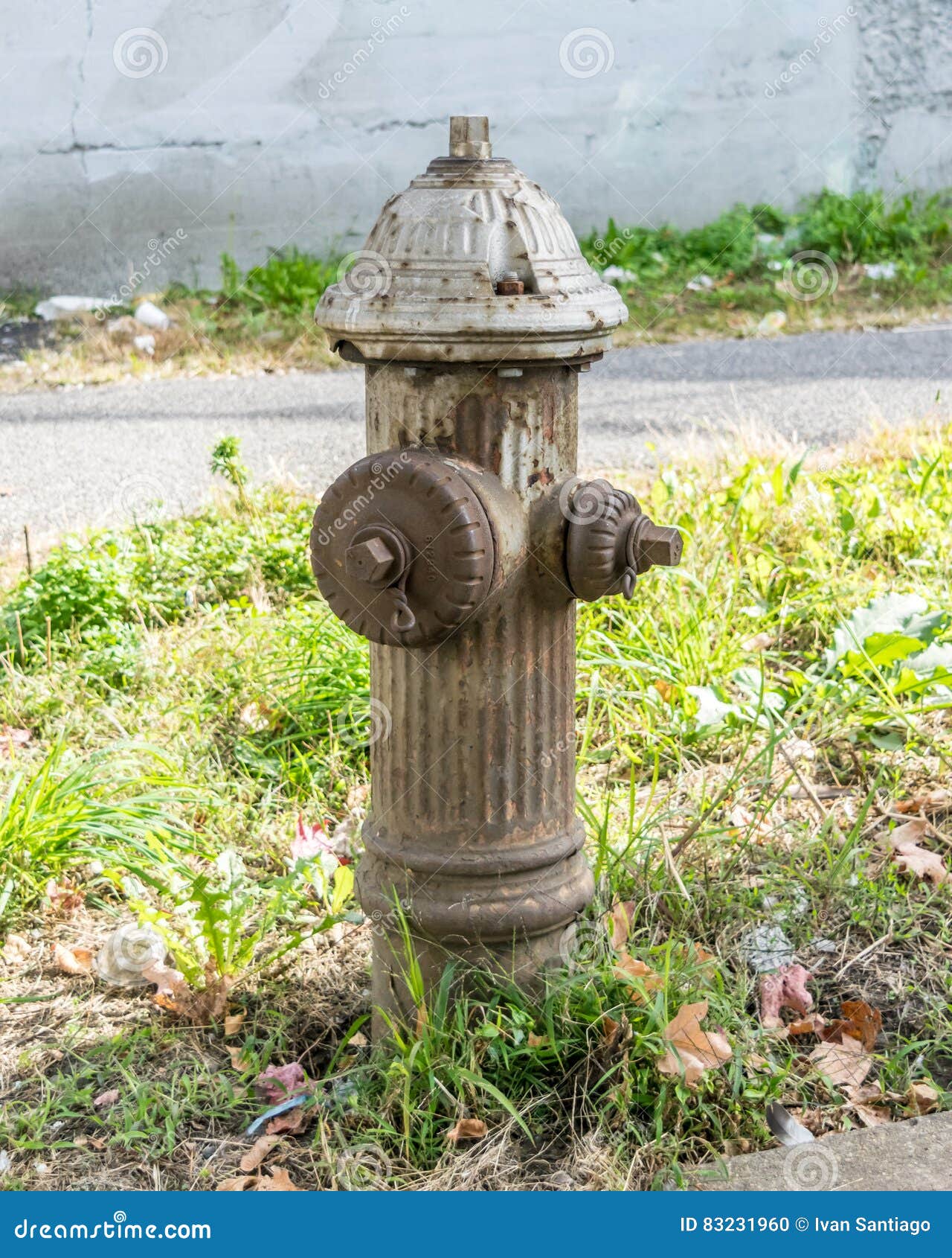 Fire Hydrant fireplug stock photo. Image of plant, danger - 83231960