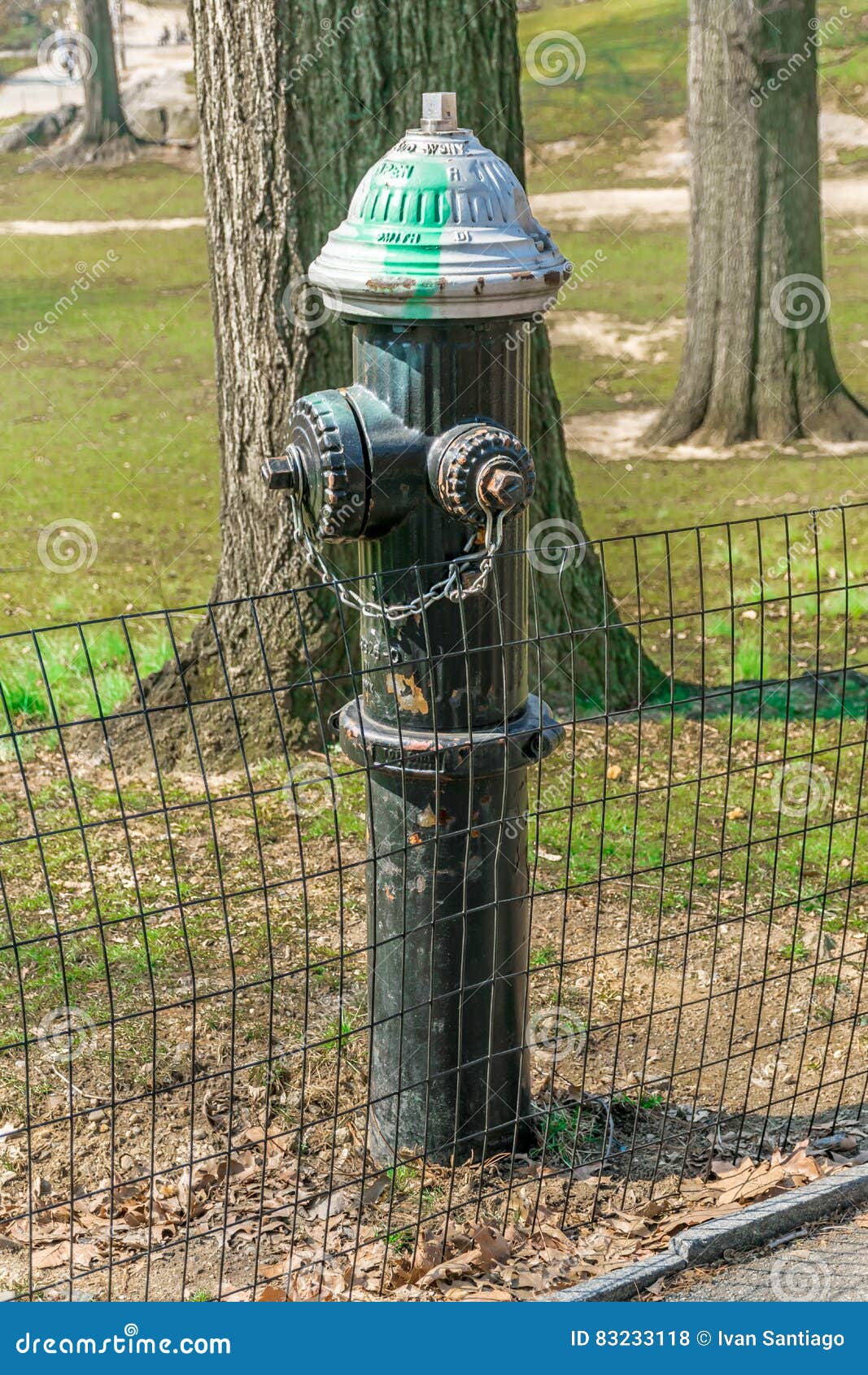 Fire Hydrant fireplug stock photo. Image of scene, buried - 83233118