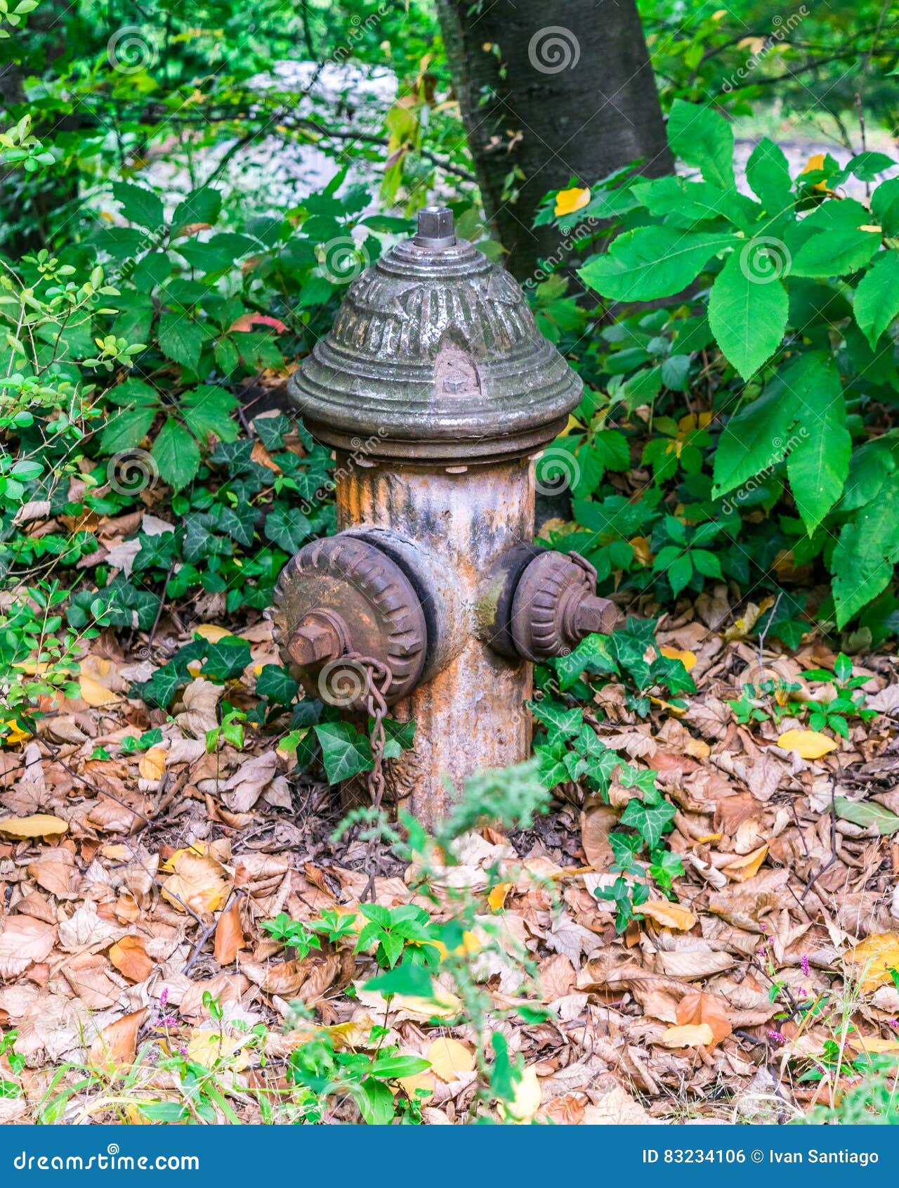 Fire Hydrant fireplug stock photo. Image of hydrant, park - 83234106