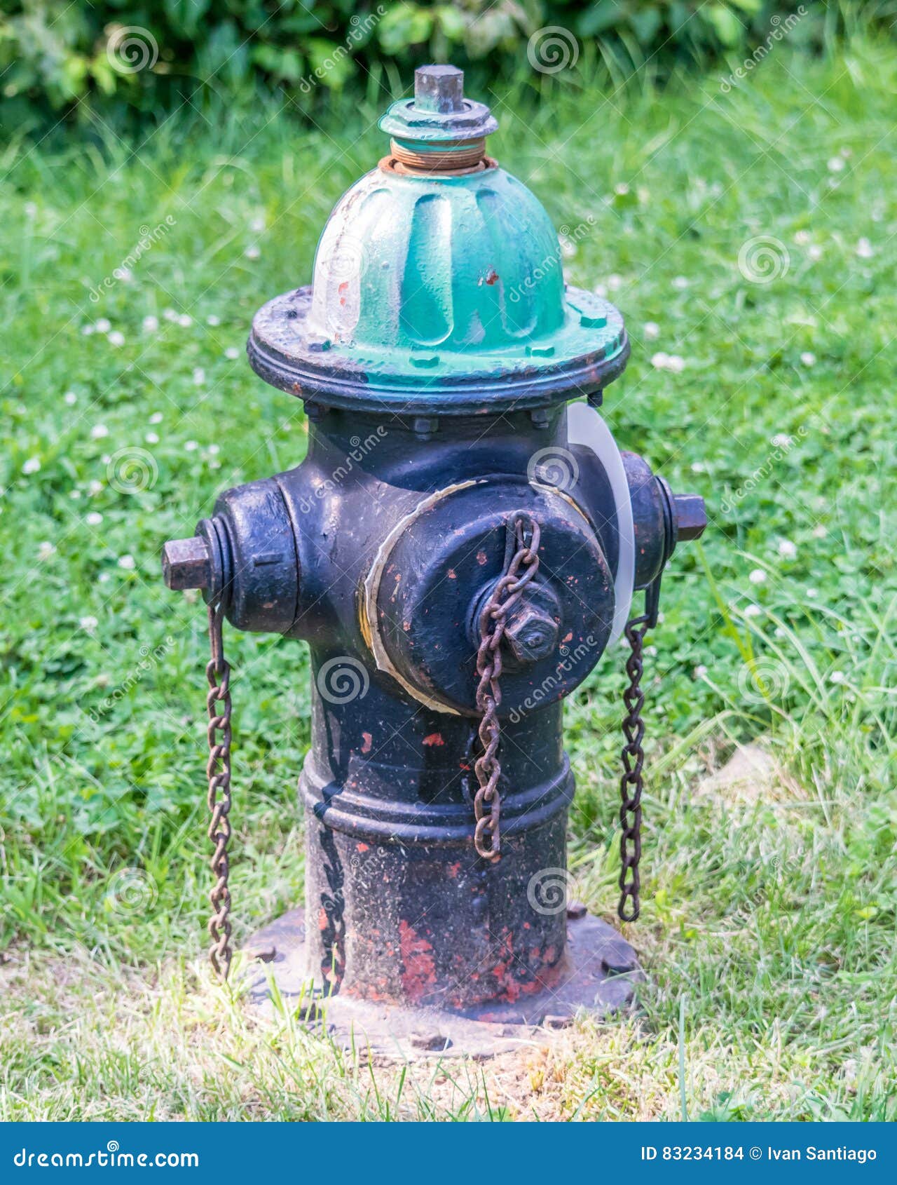 Fire Hydrant fireplug stock photo. Image of meadow, prevention - 83234184
