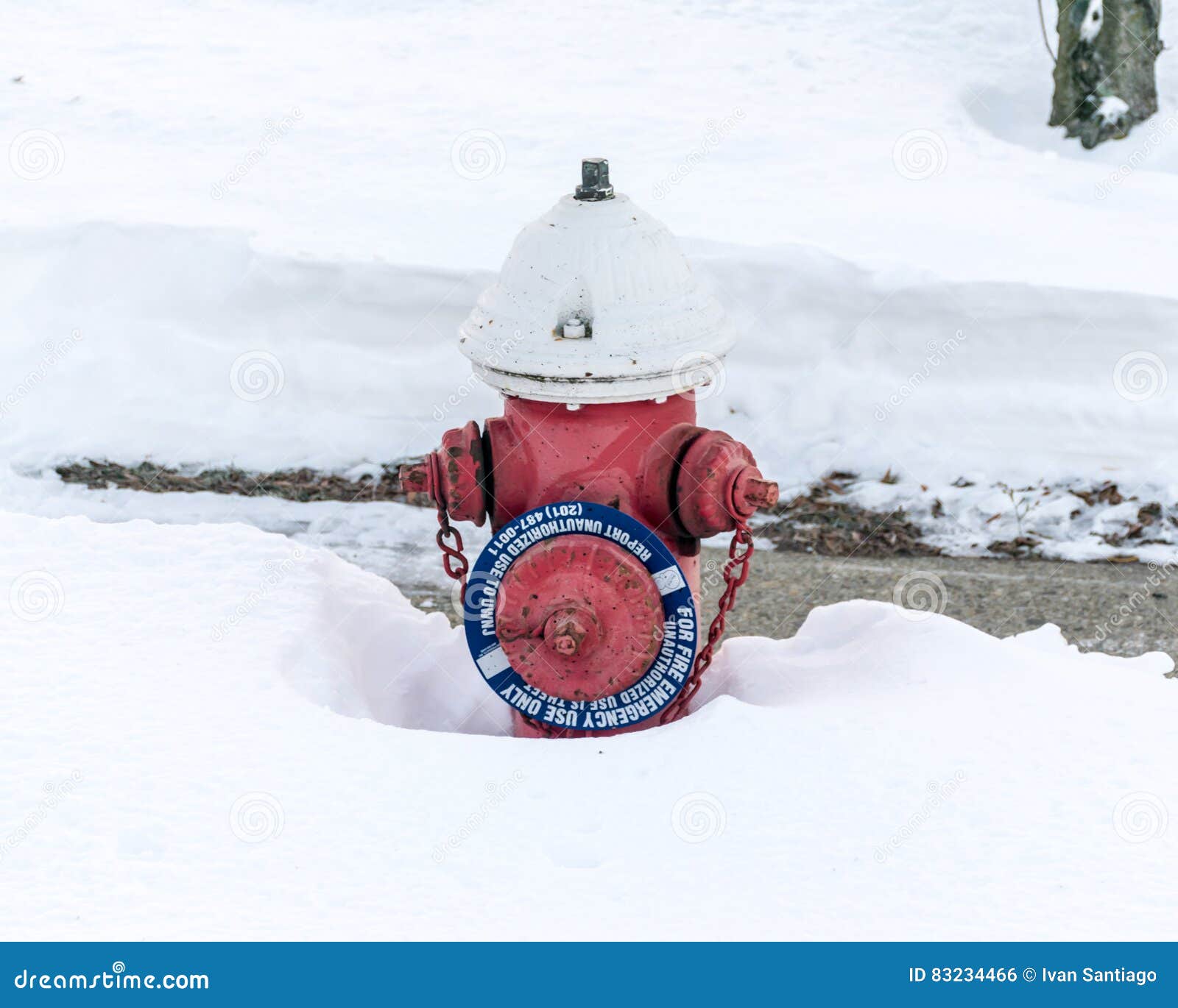 Fire Hydrant fireplug stock photo. Image of meadow, nature - 83234466