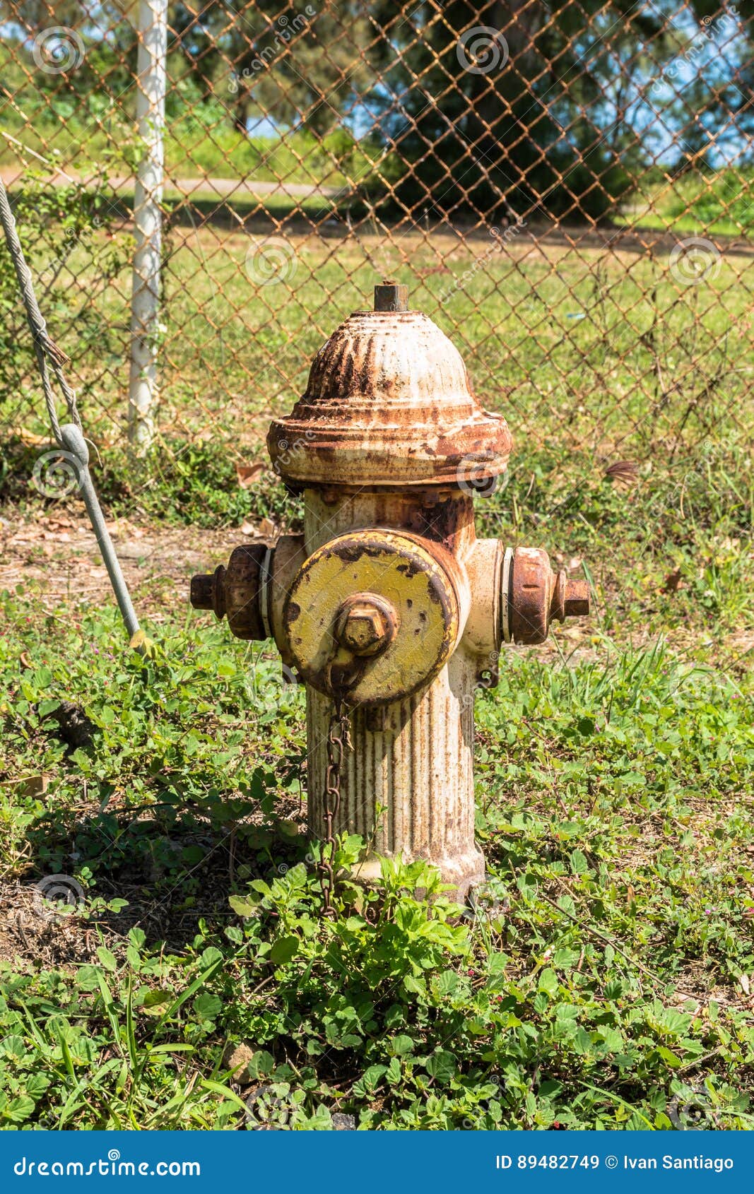 Fire Hydrant Fireplug Royalty-Free Stock Photo | CartoonDealer.com ...