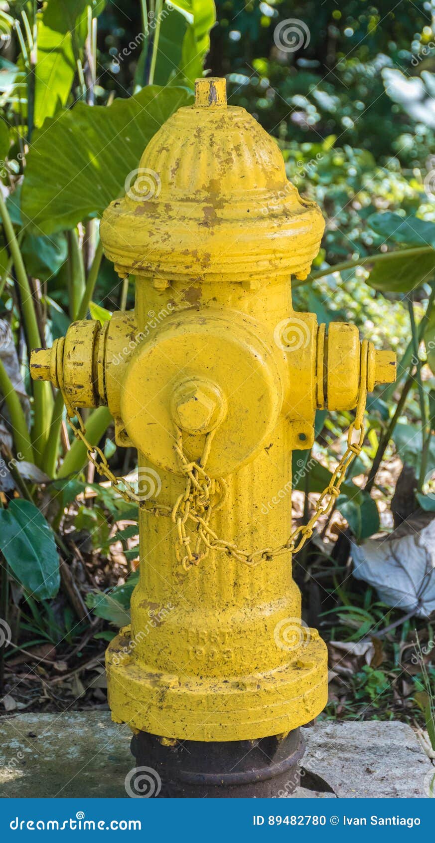 Fire Hydrant fireplug stock photo. Image of emergency - 89482780
