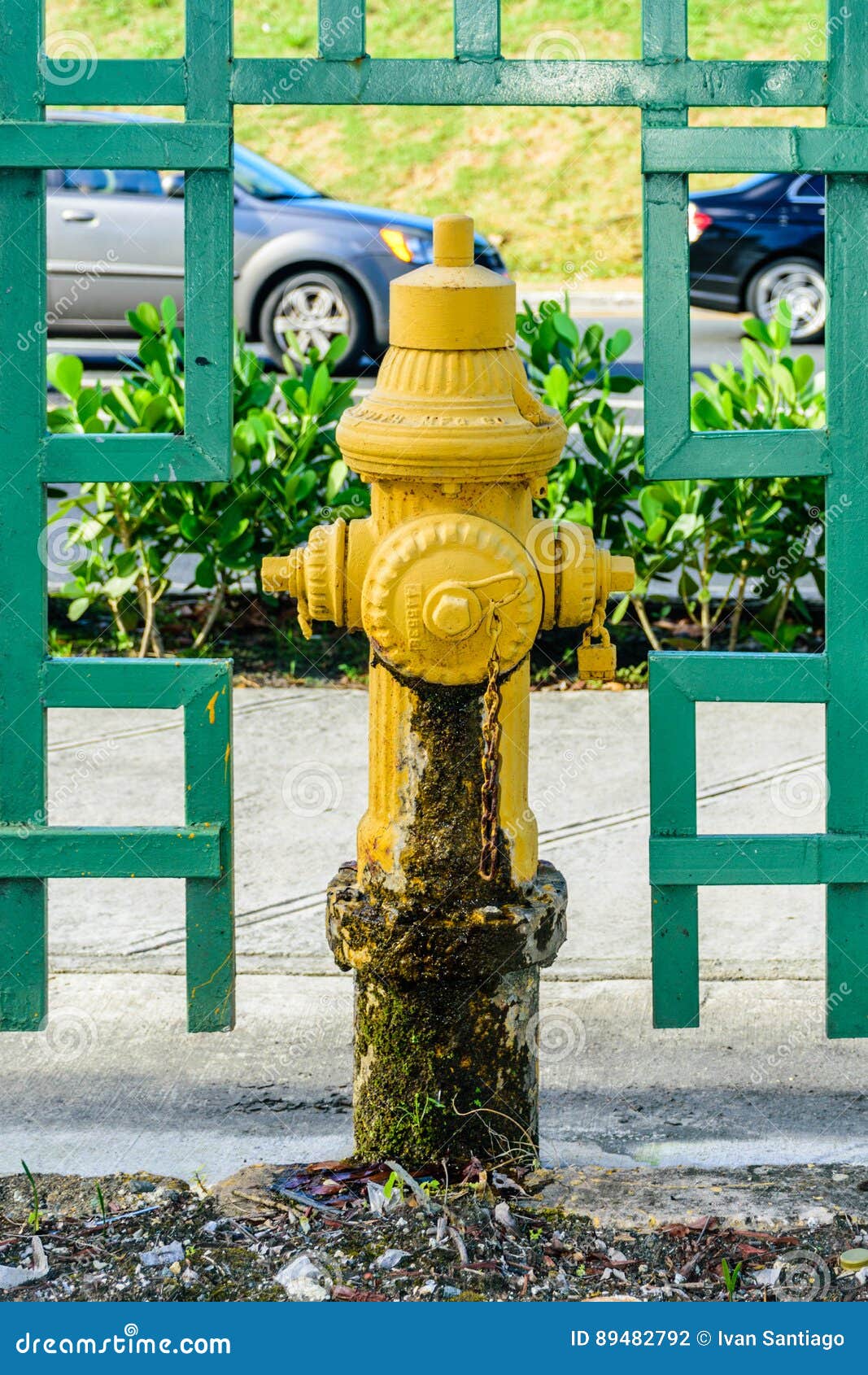 Fire Hydrant fireplug stock photo. Image of fire, color - 89482792