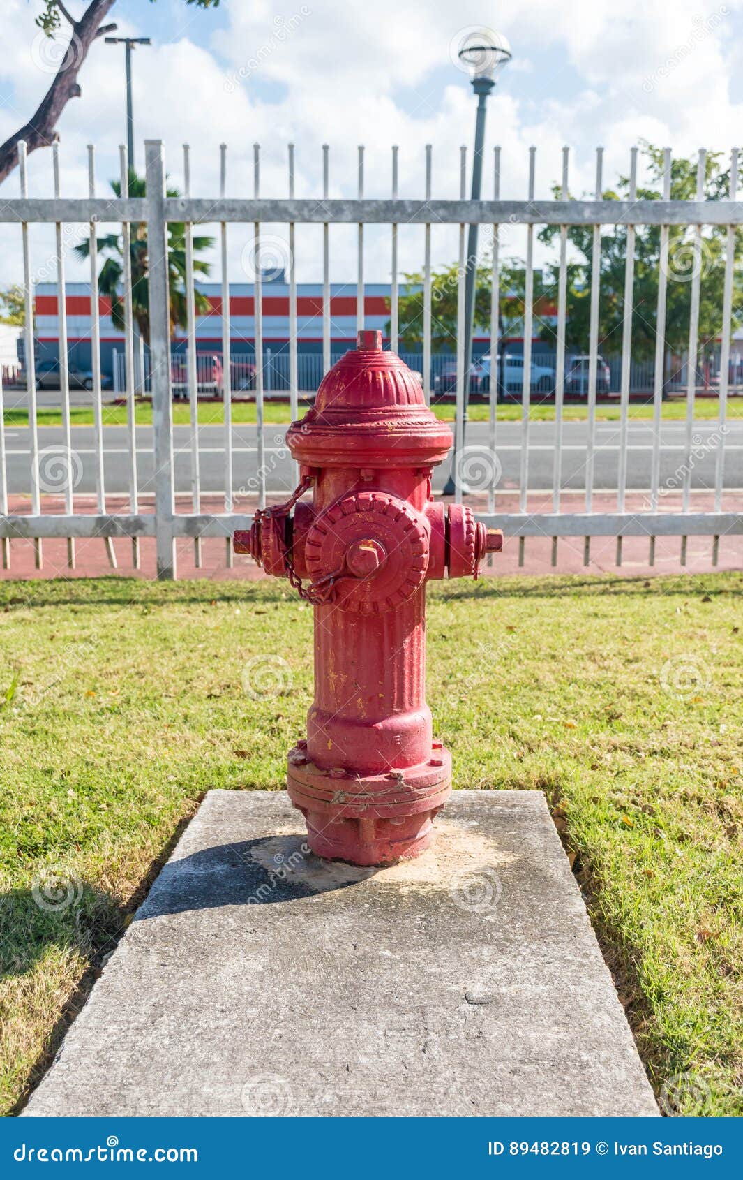 Fire Hydrant fireplug stock image. Image of flora, city - 89482819