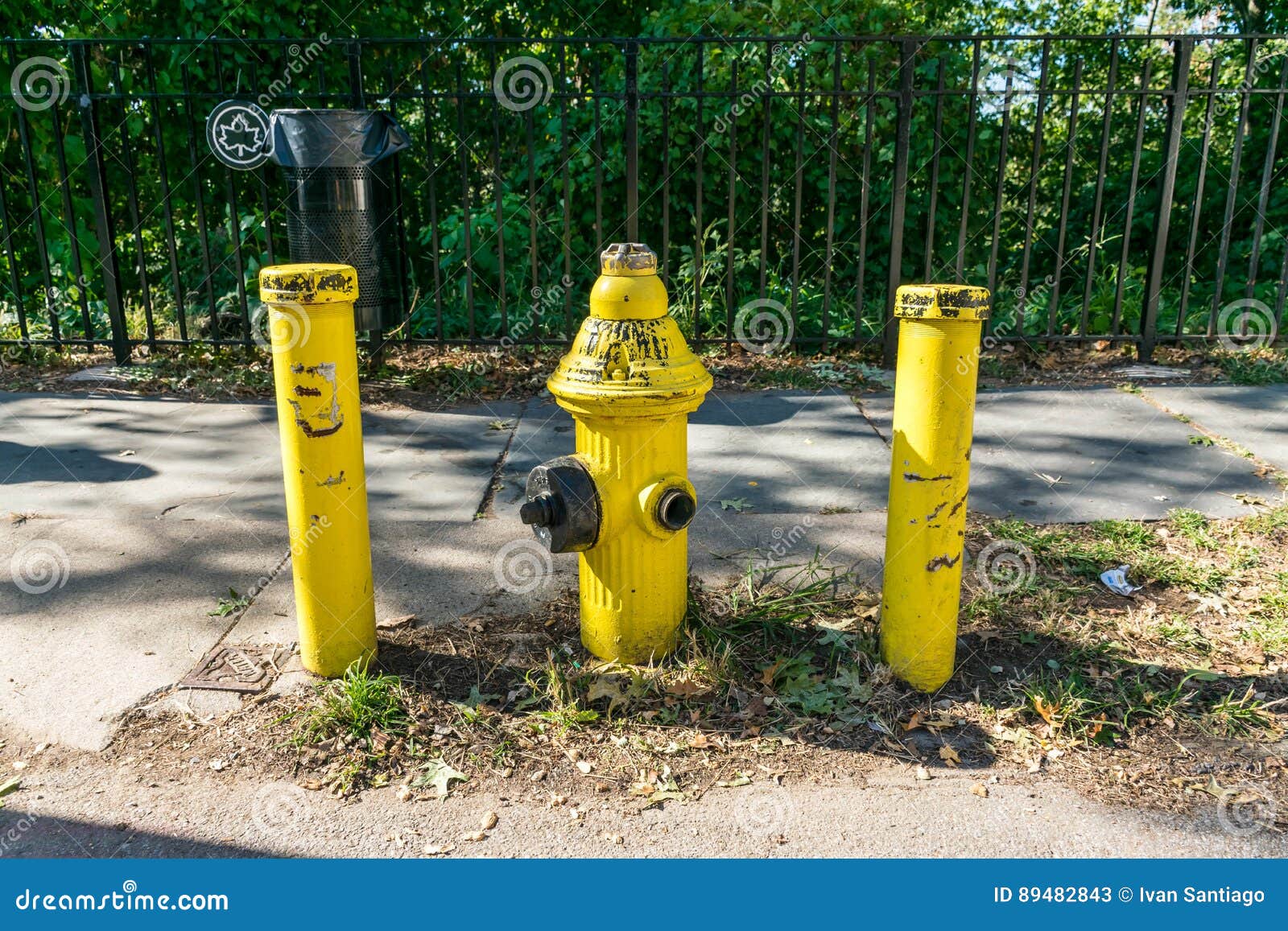 Fire Hydrant fireplug stock image. Image of leaf, prevention - 89482843