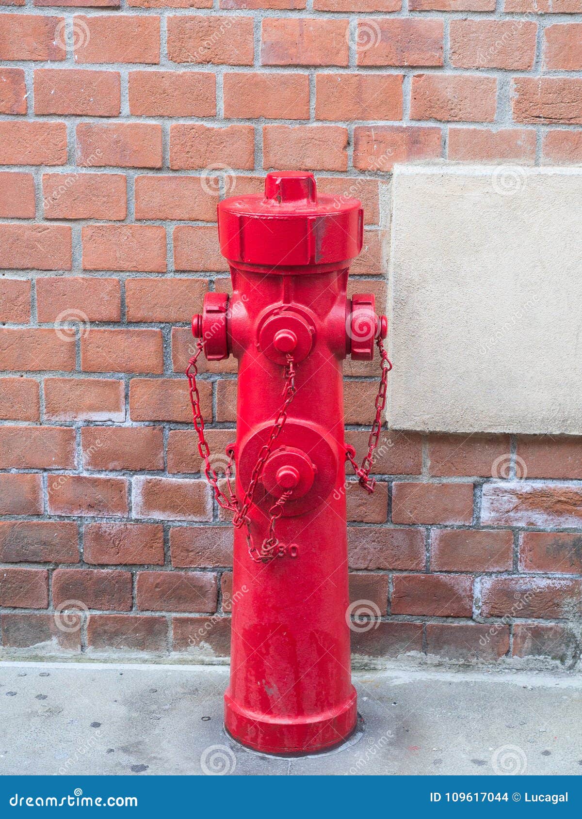 Fire Hydrant or Fireplug Connection for Firefighters in Public ...