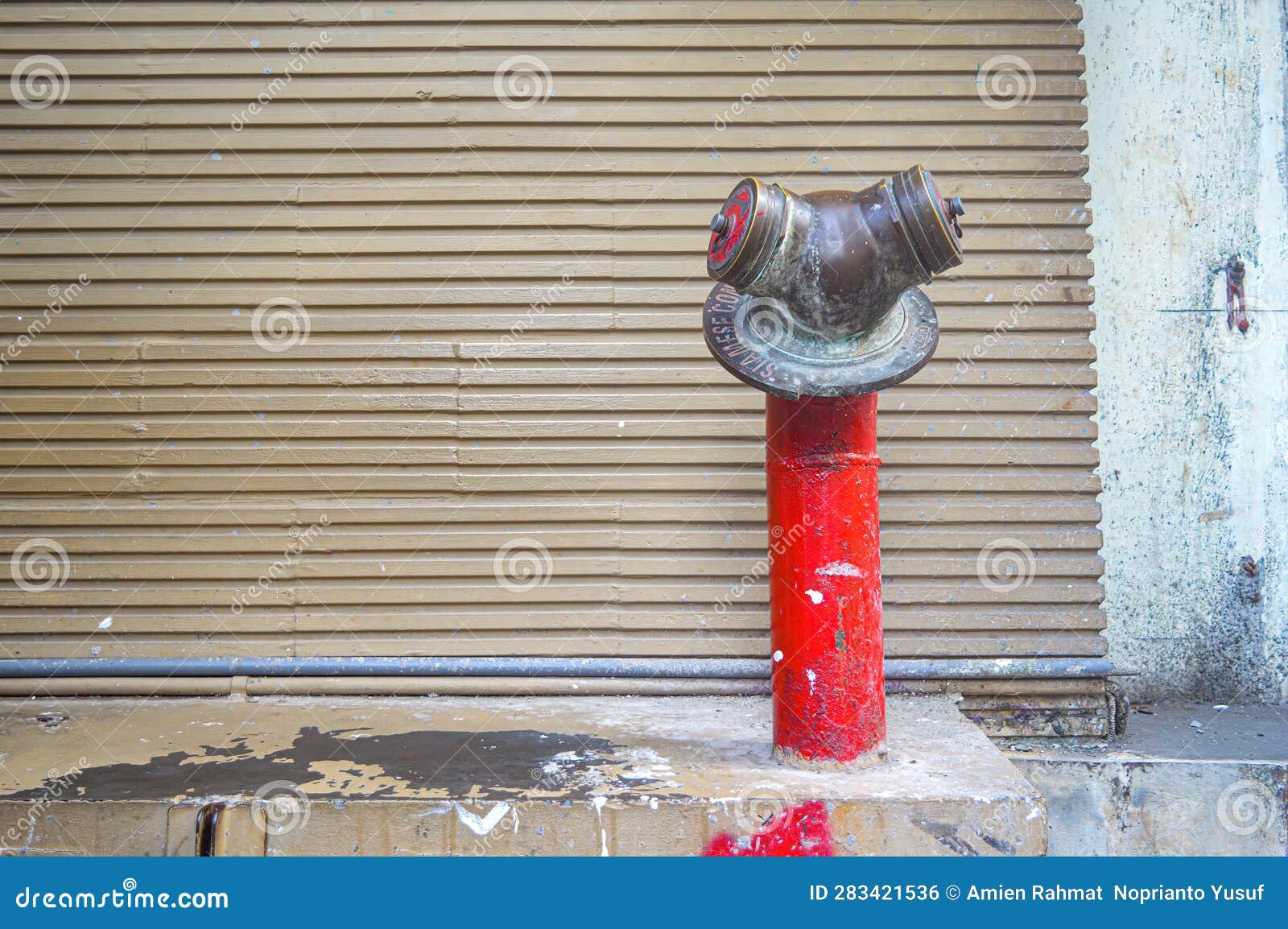 A Fire Hydrant Fireplug on the Side of the Road Editorial Photo - Image ...